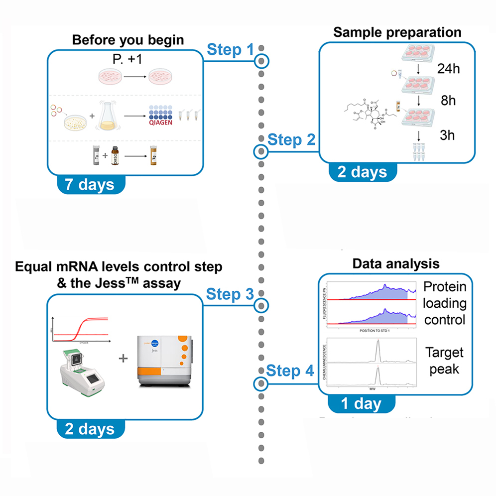 Cell Press: STAR Protocols