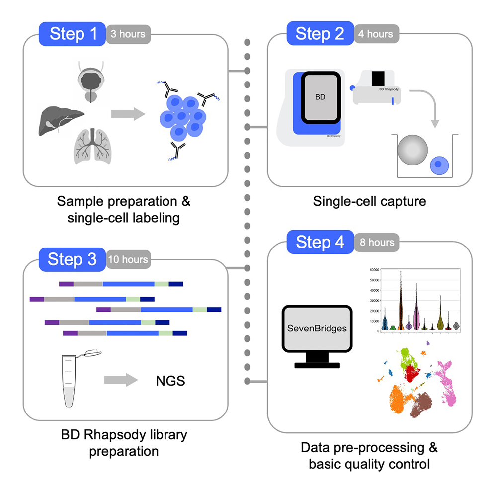 Cell Press: STAR Protocols