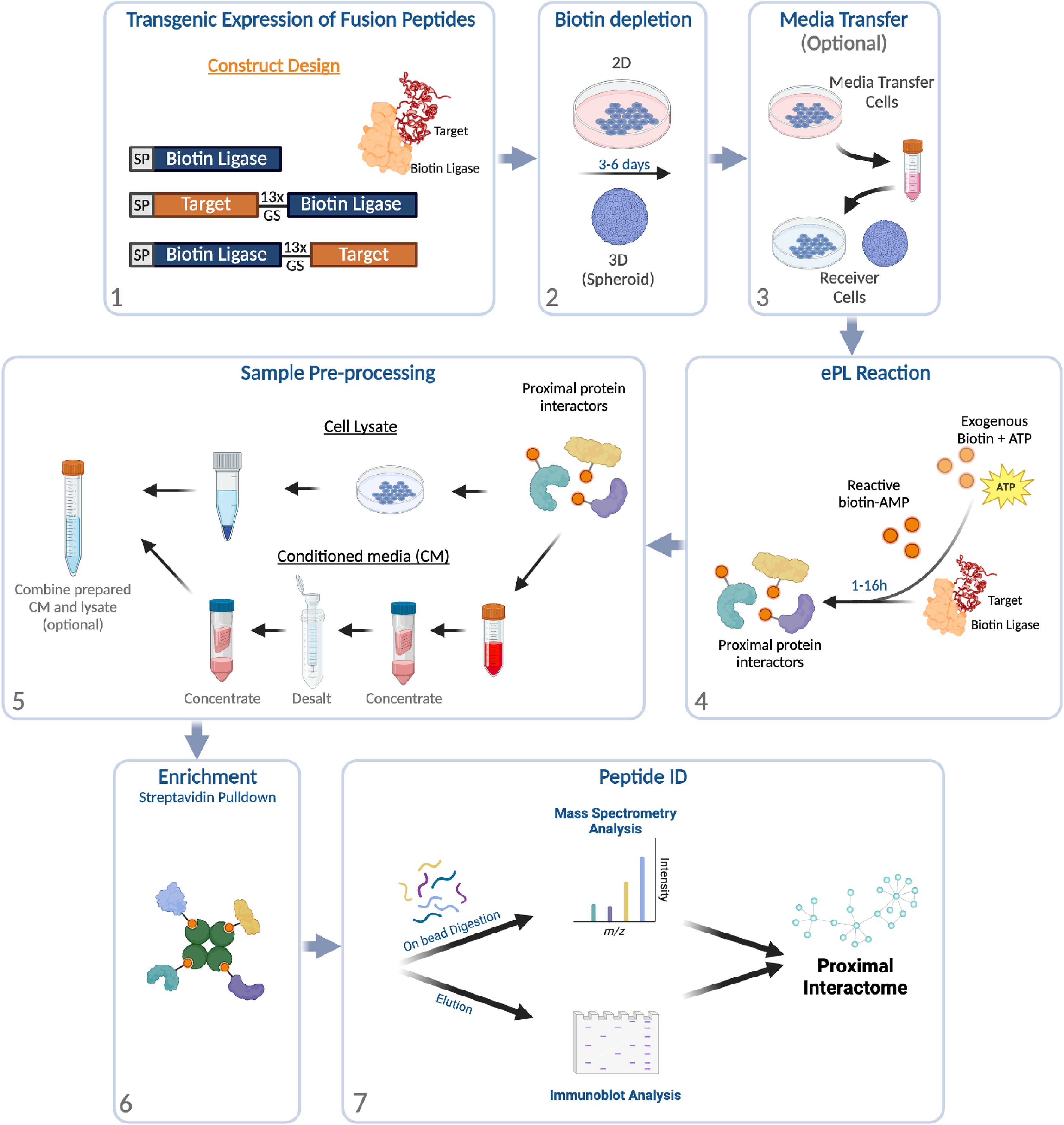 Cell Press: STAR Protocols