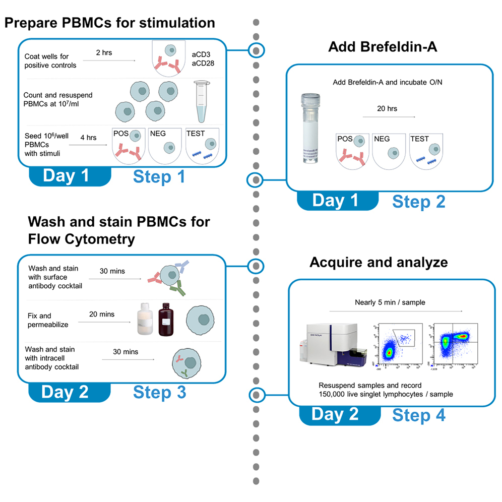 Cell Press: STAR Protocols