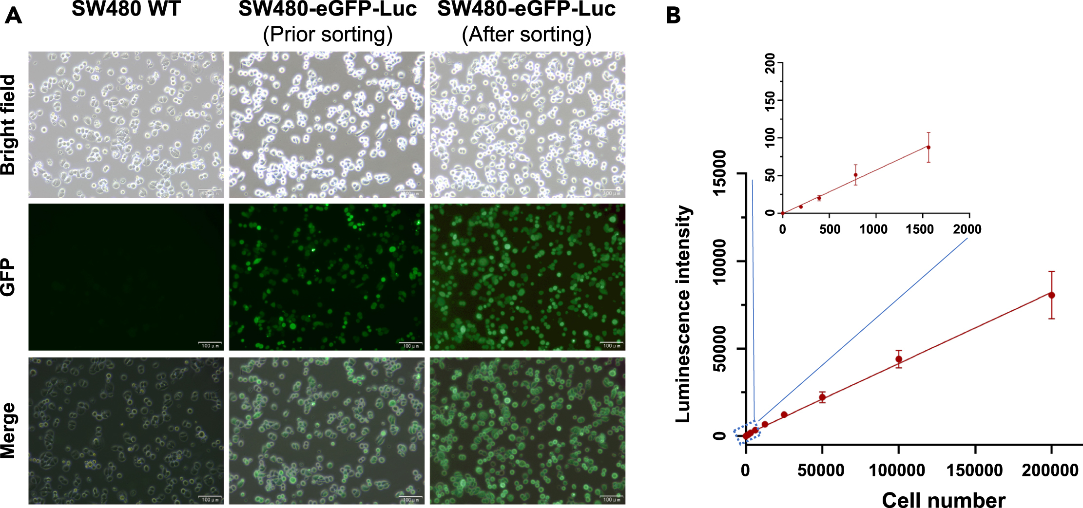Cell Press: STAR Protocols