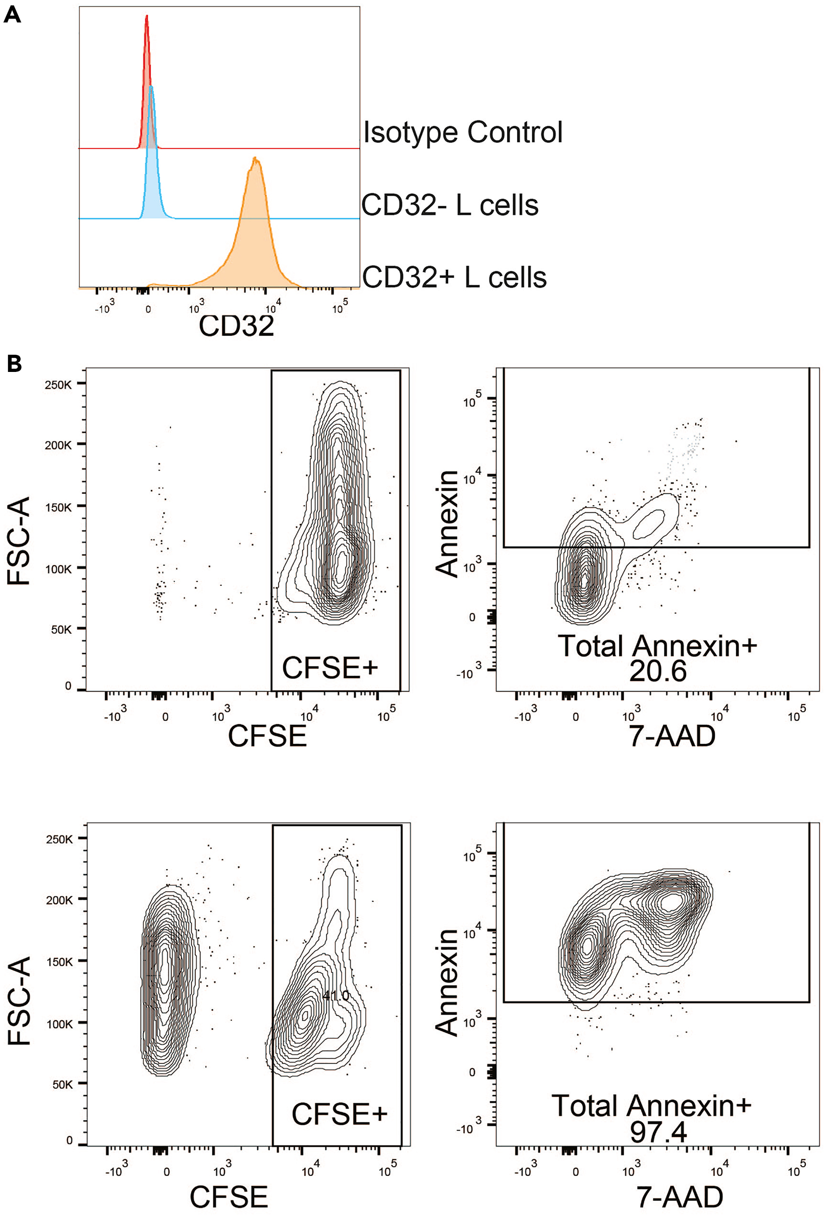 Cell Press: STAR Protocols
