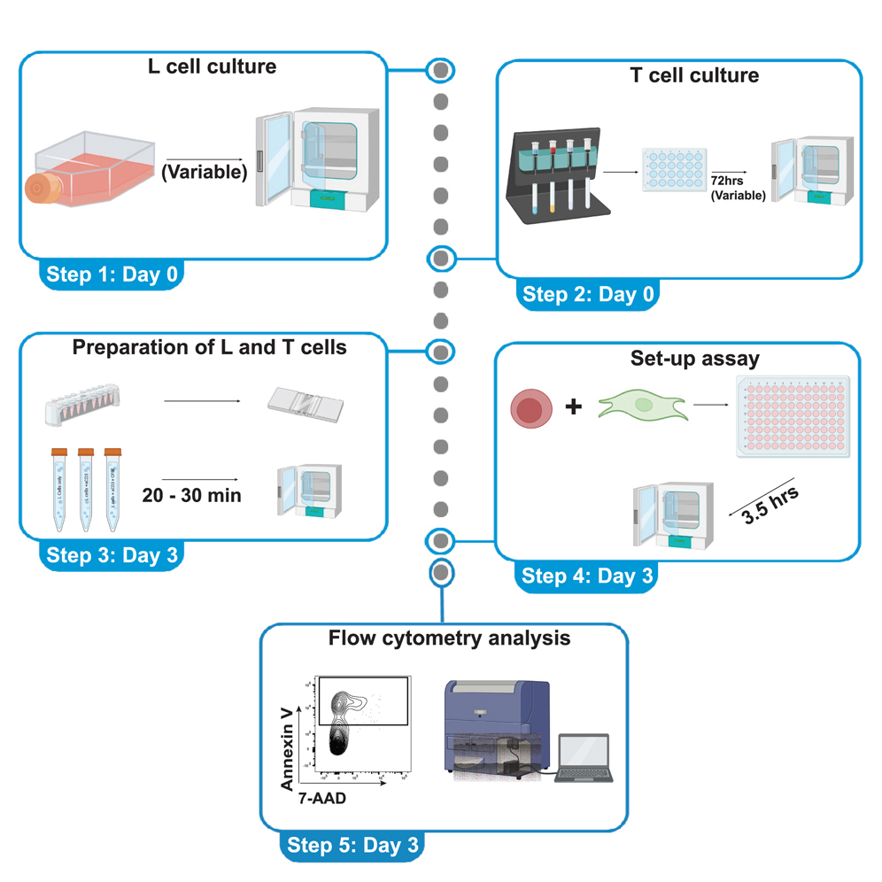 Cell Press: STAR Protocols