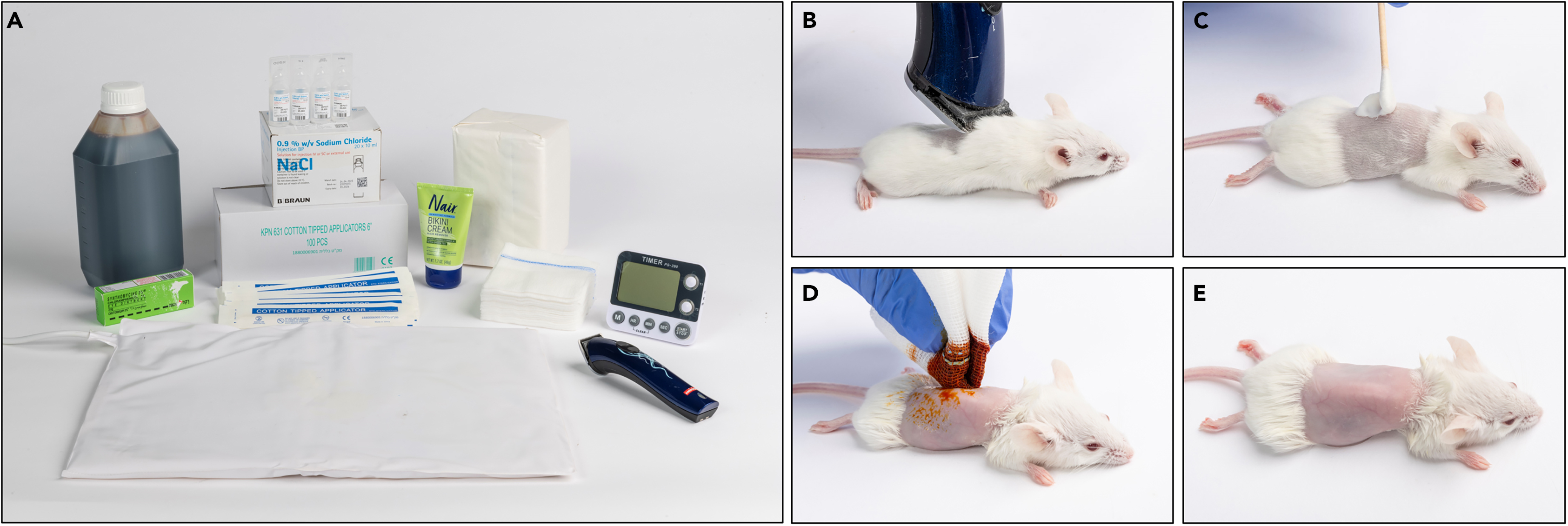 Cell Press: STAR Protocols