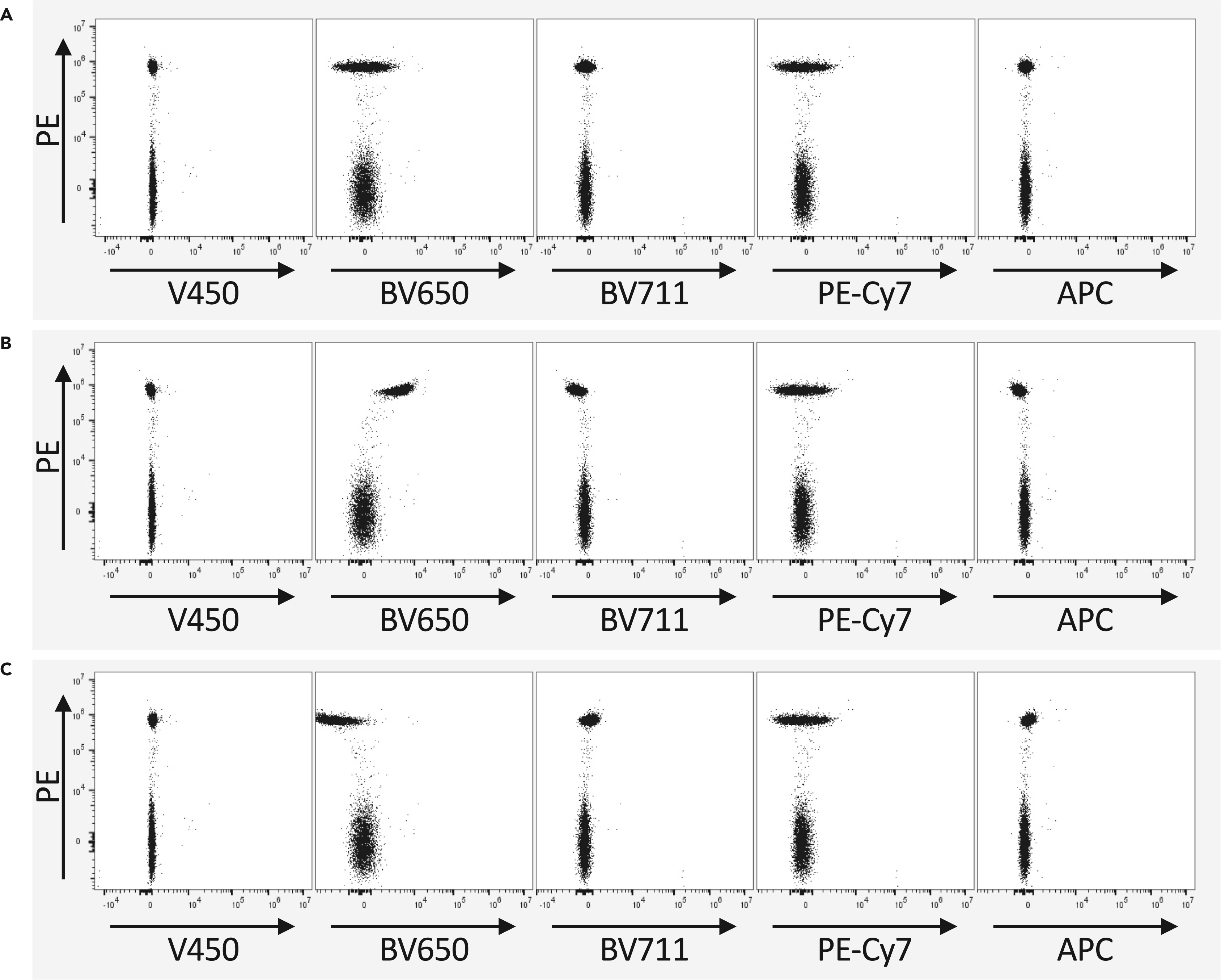 Cell Press: STAR Protocols