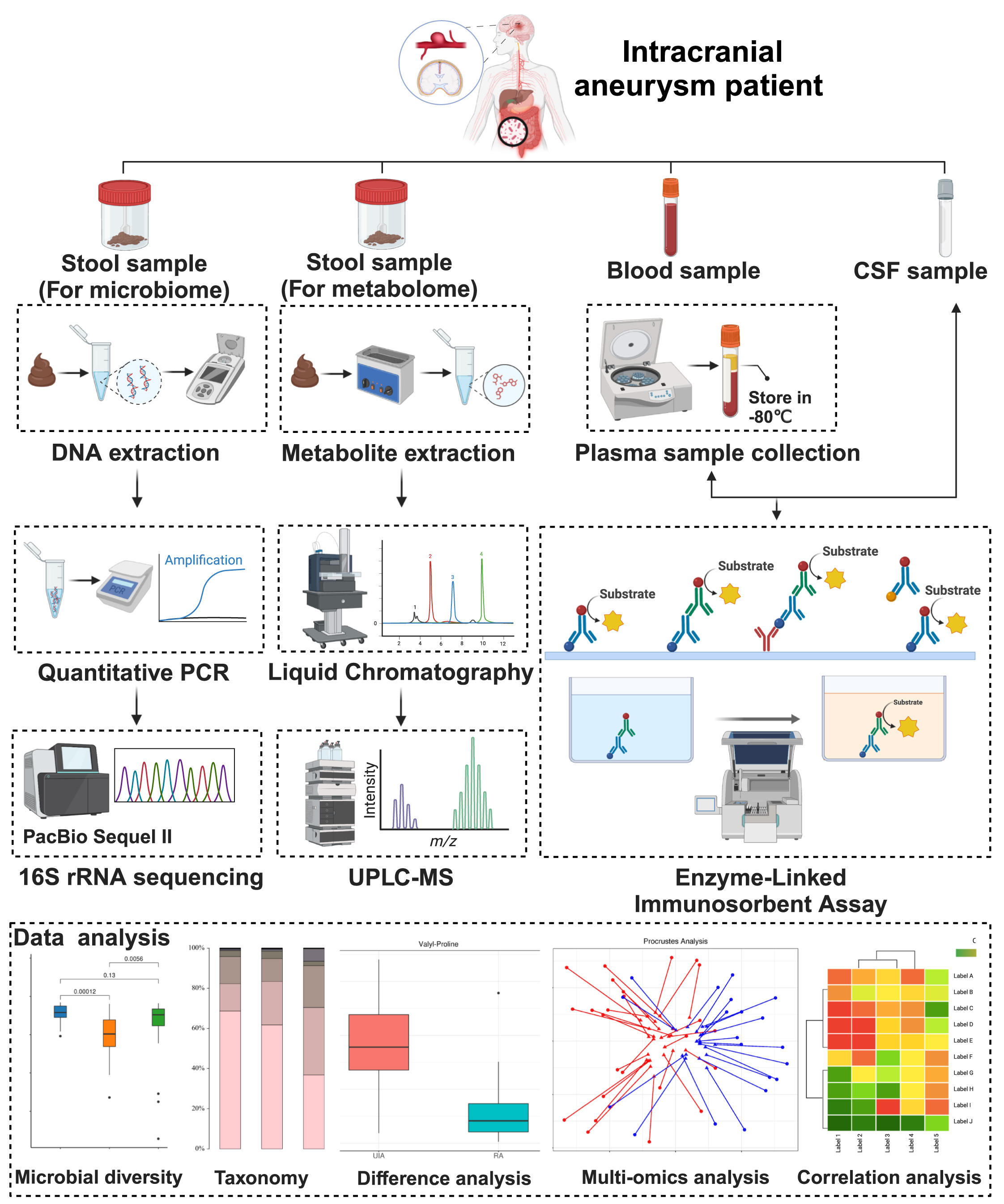 Cell Press: STAR Protocols