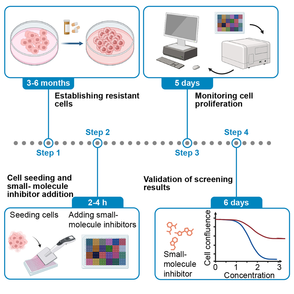 Cell Press: STAR Protocols