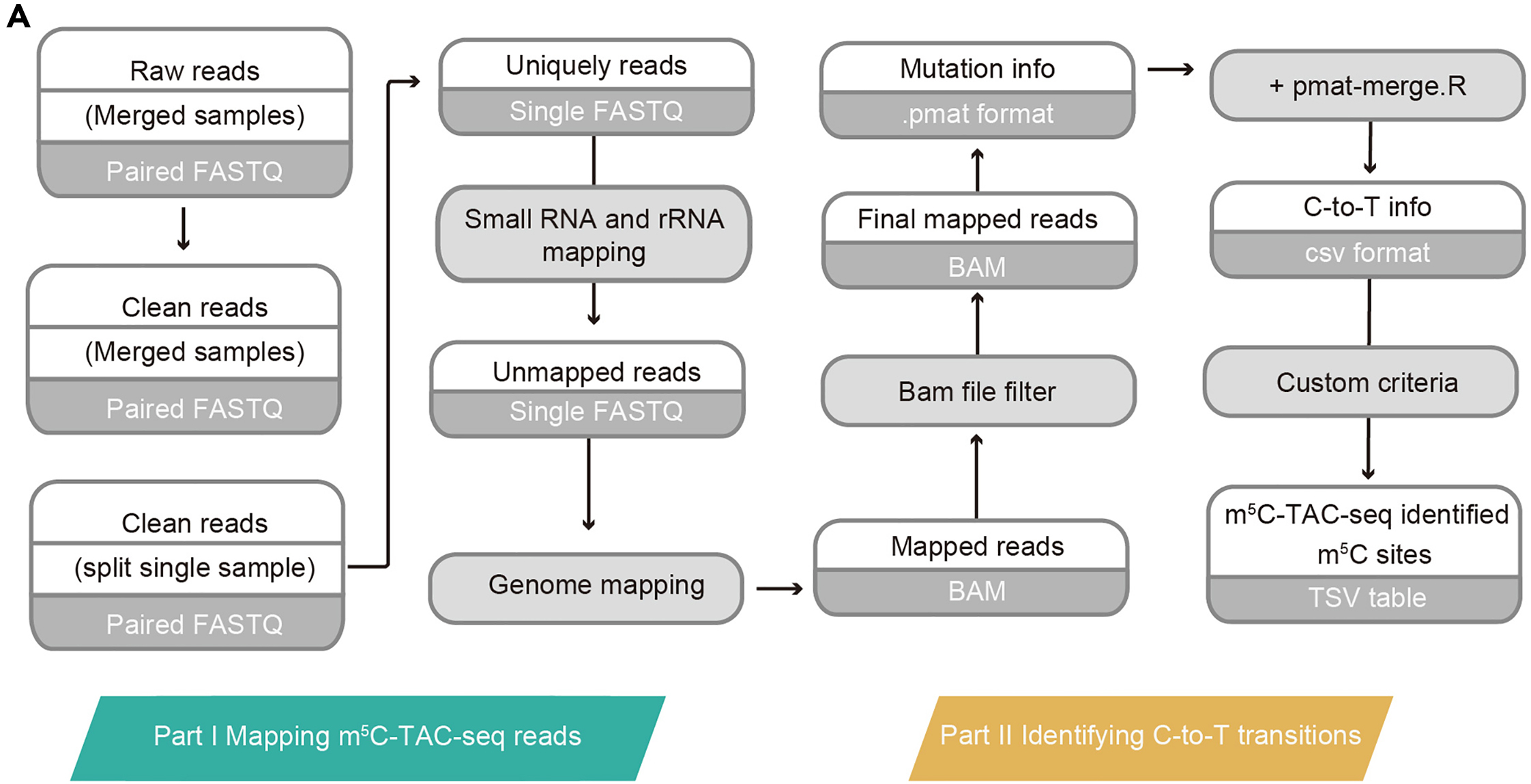 Cell Press: STAR Protocols