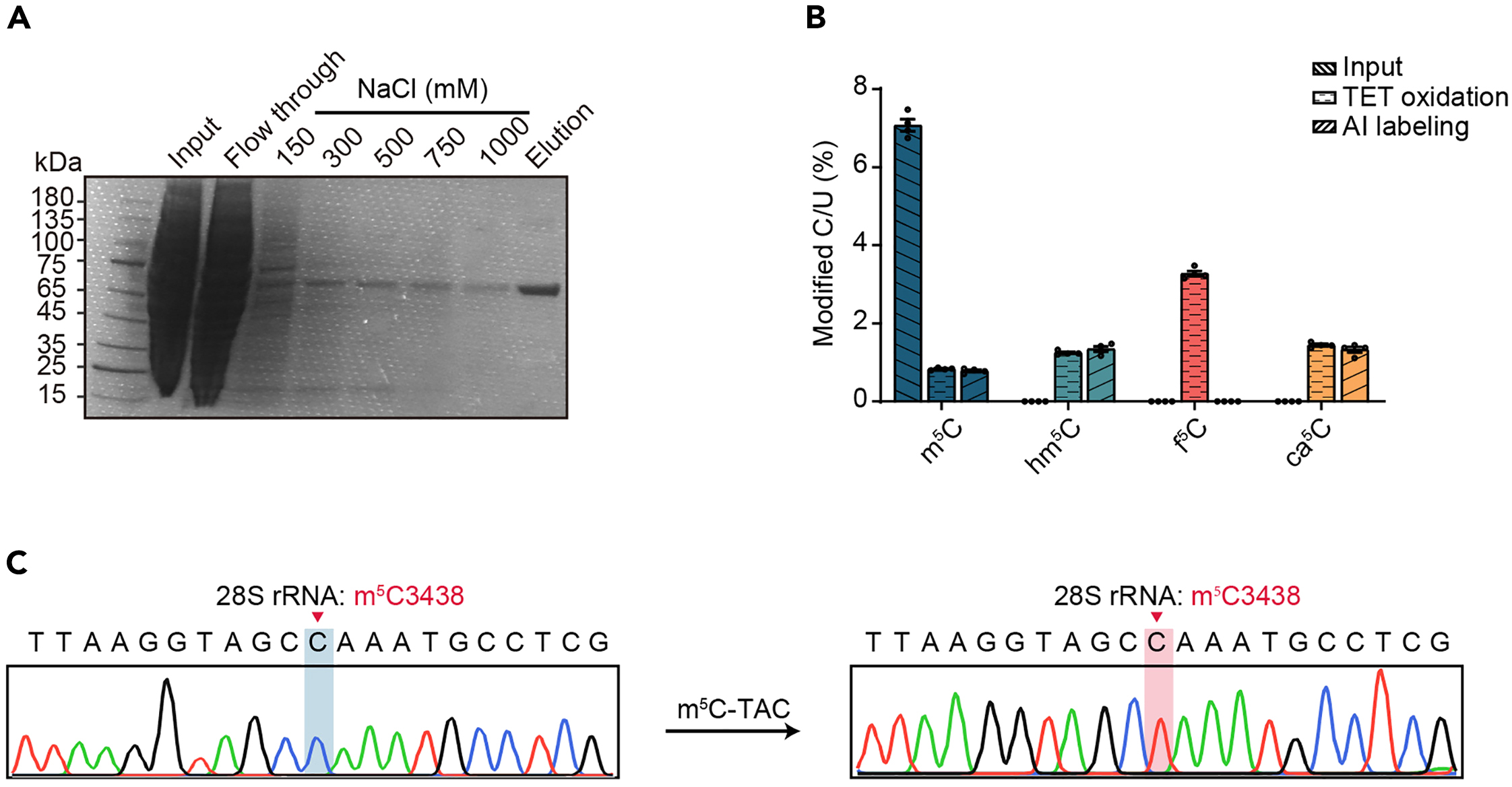 Cell Press: STAR Protocols