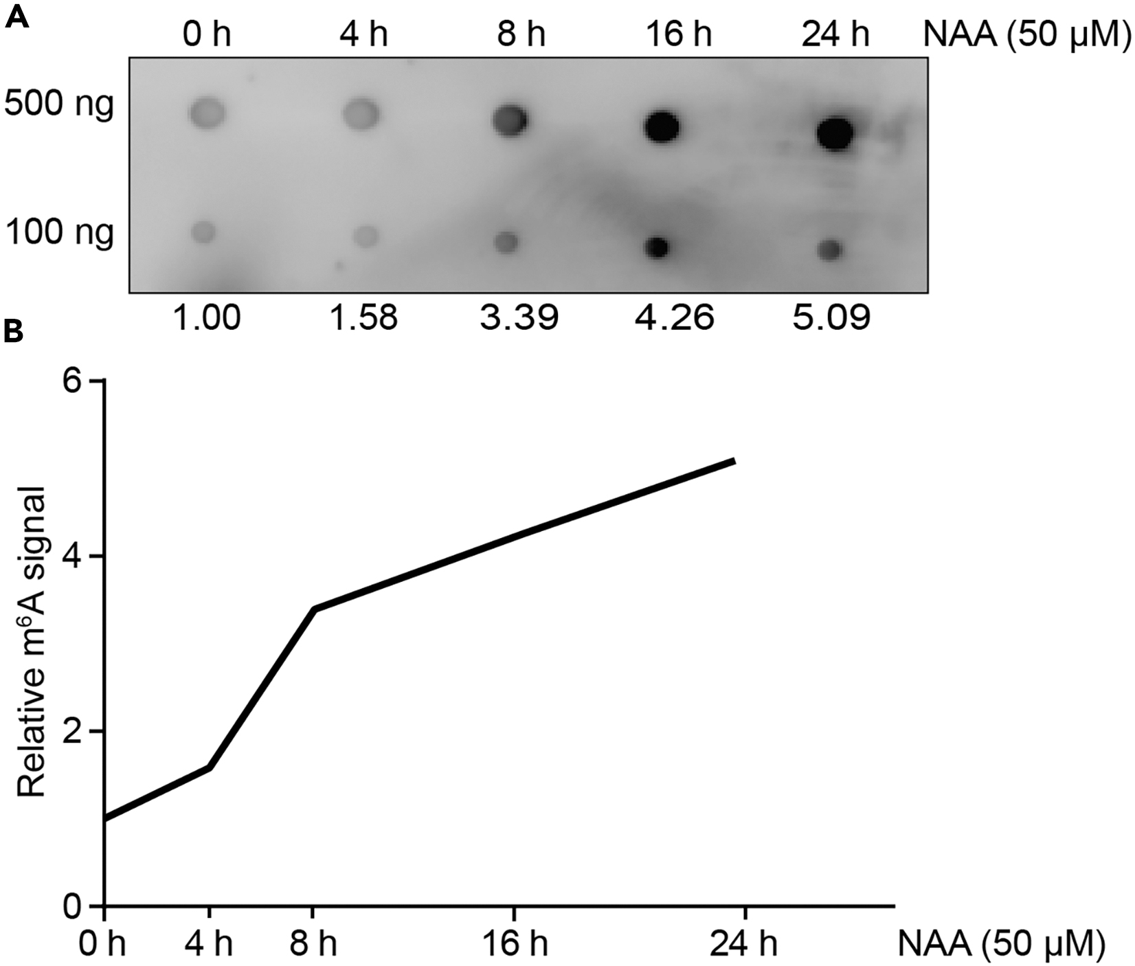 Cell Press: STAR Protocols