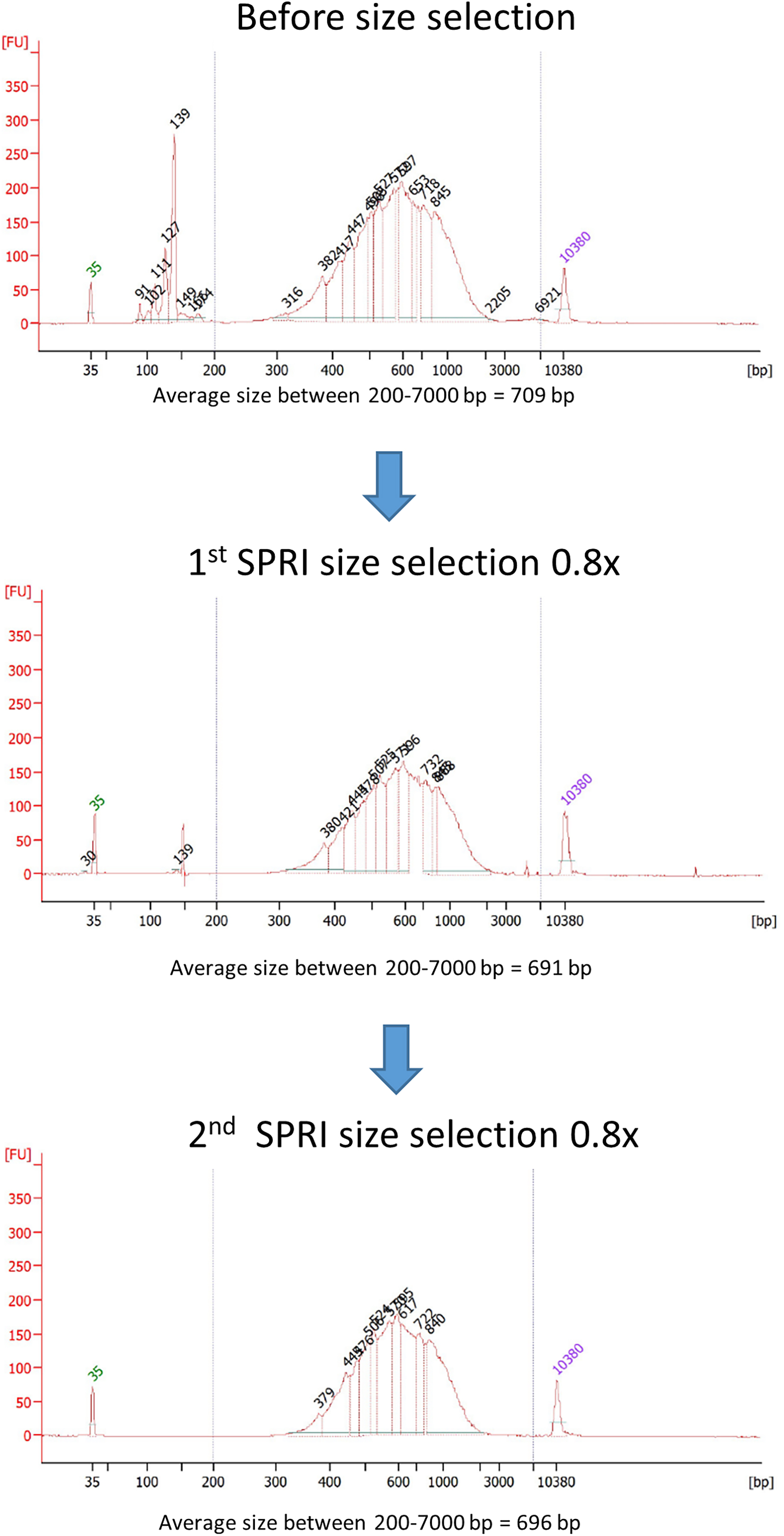 Cell Press: STAR Protocols