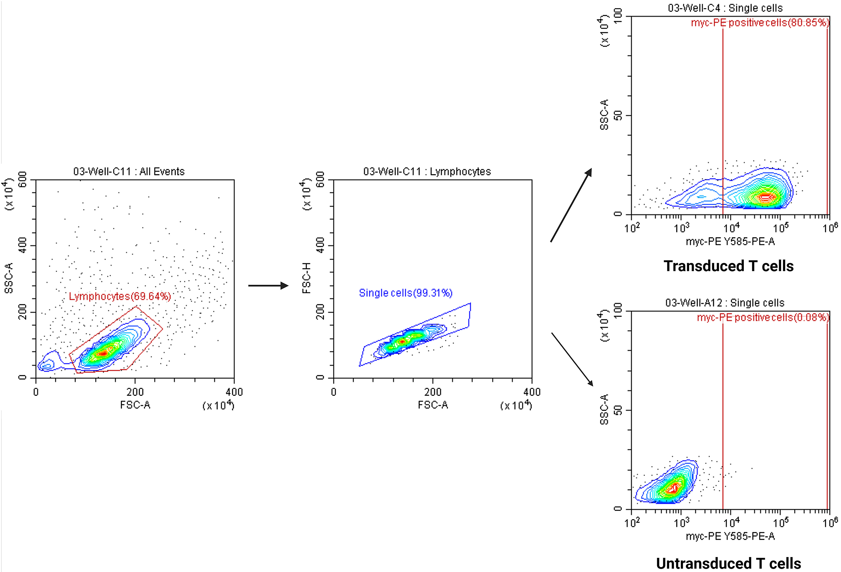 Cell Press: STAR Protocols