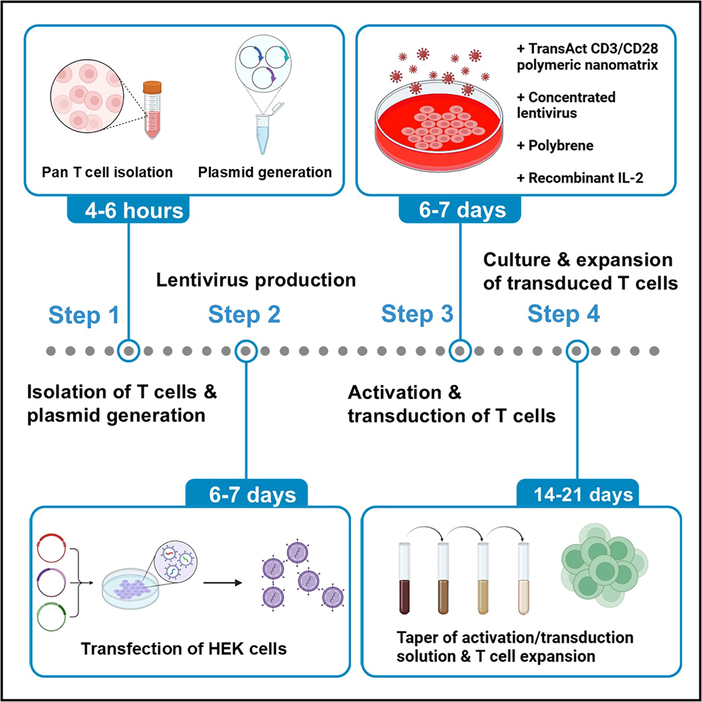 Cell Press: STAR Protocols