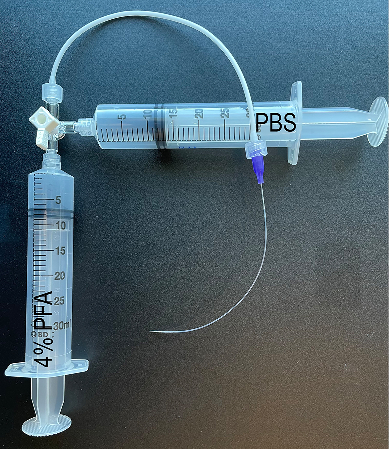 Cell Press: STAR Protocols