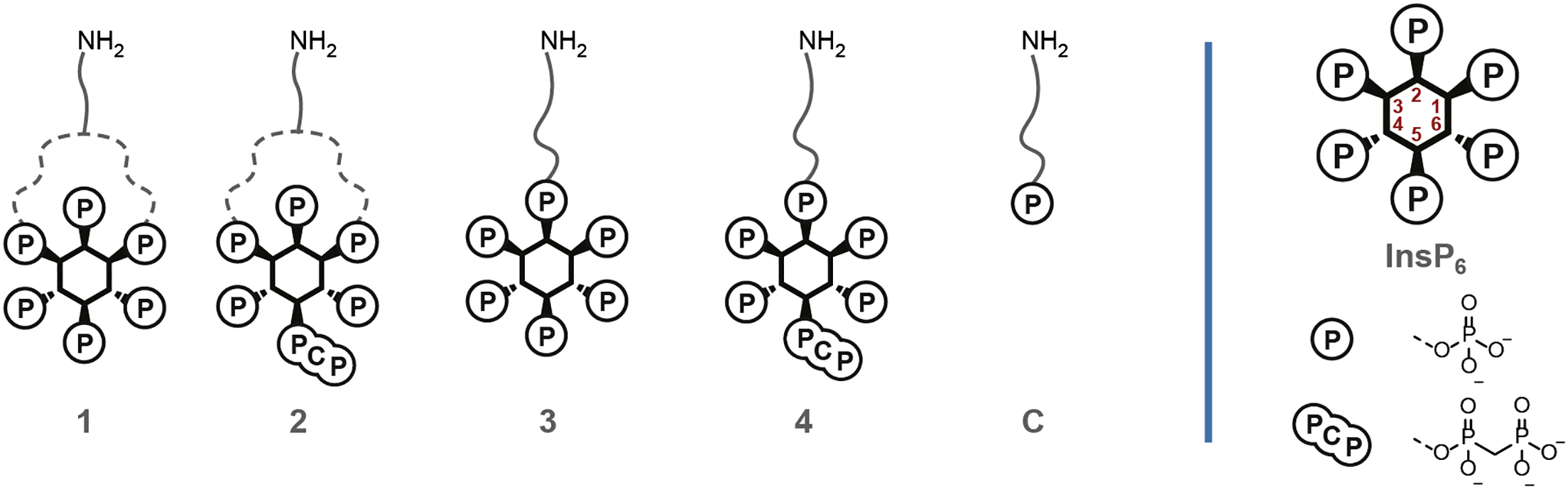 Cell Press: STAR Protocols