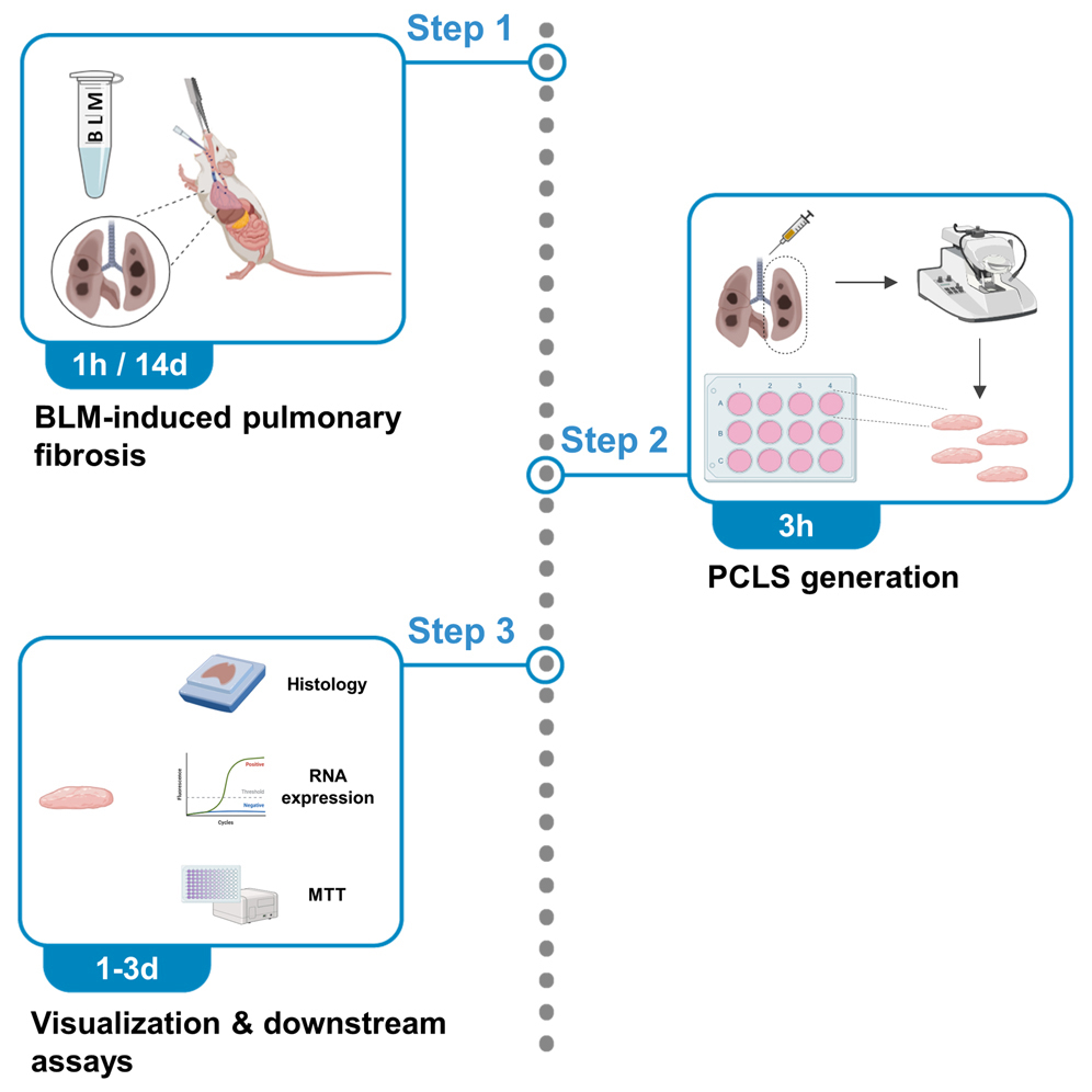 Cell Press: STAR Protocols