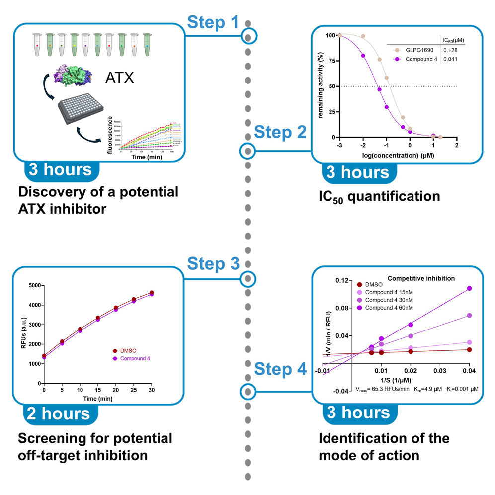 Cell Press: STAR Protocols