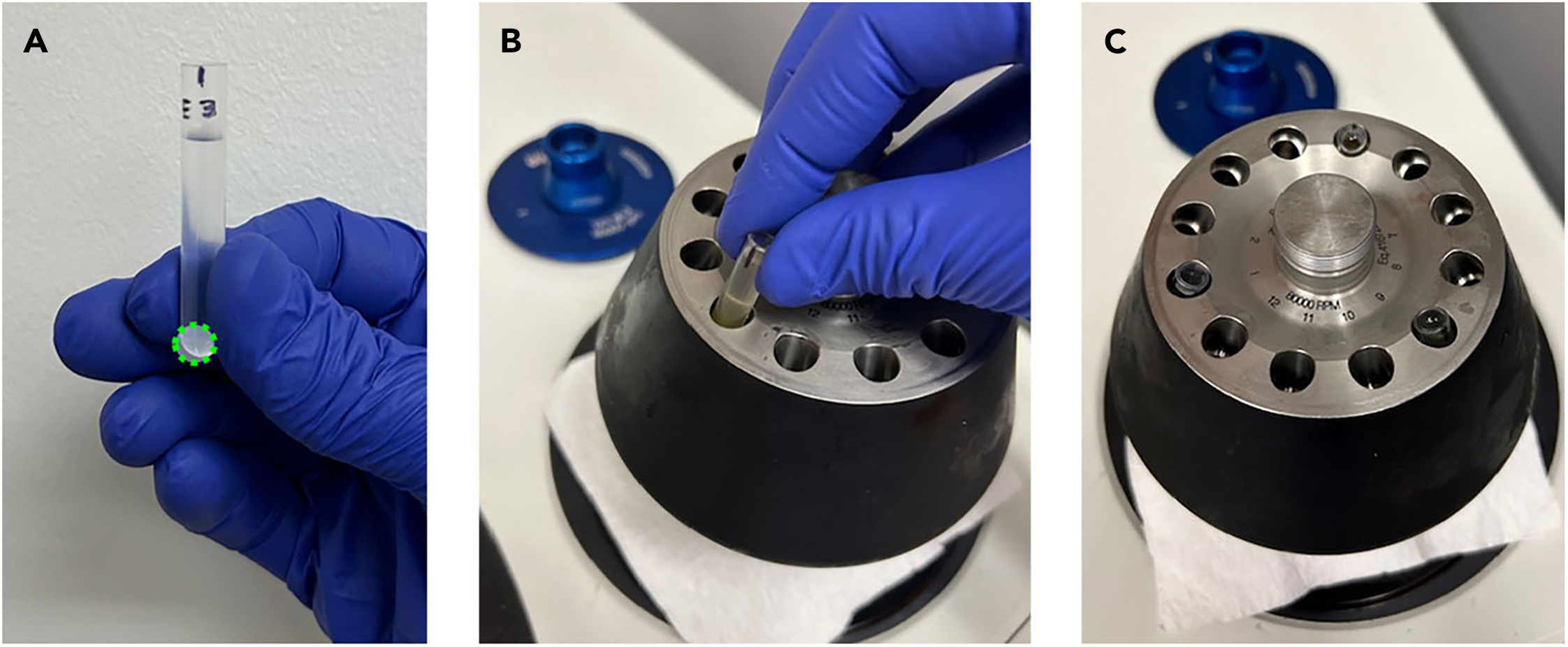 Cell Press: STAR Protocols