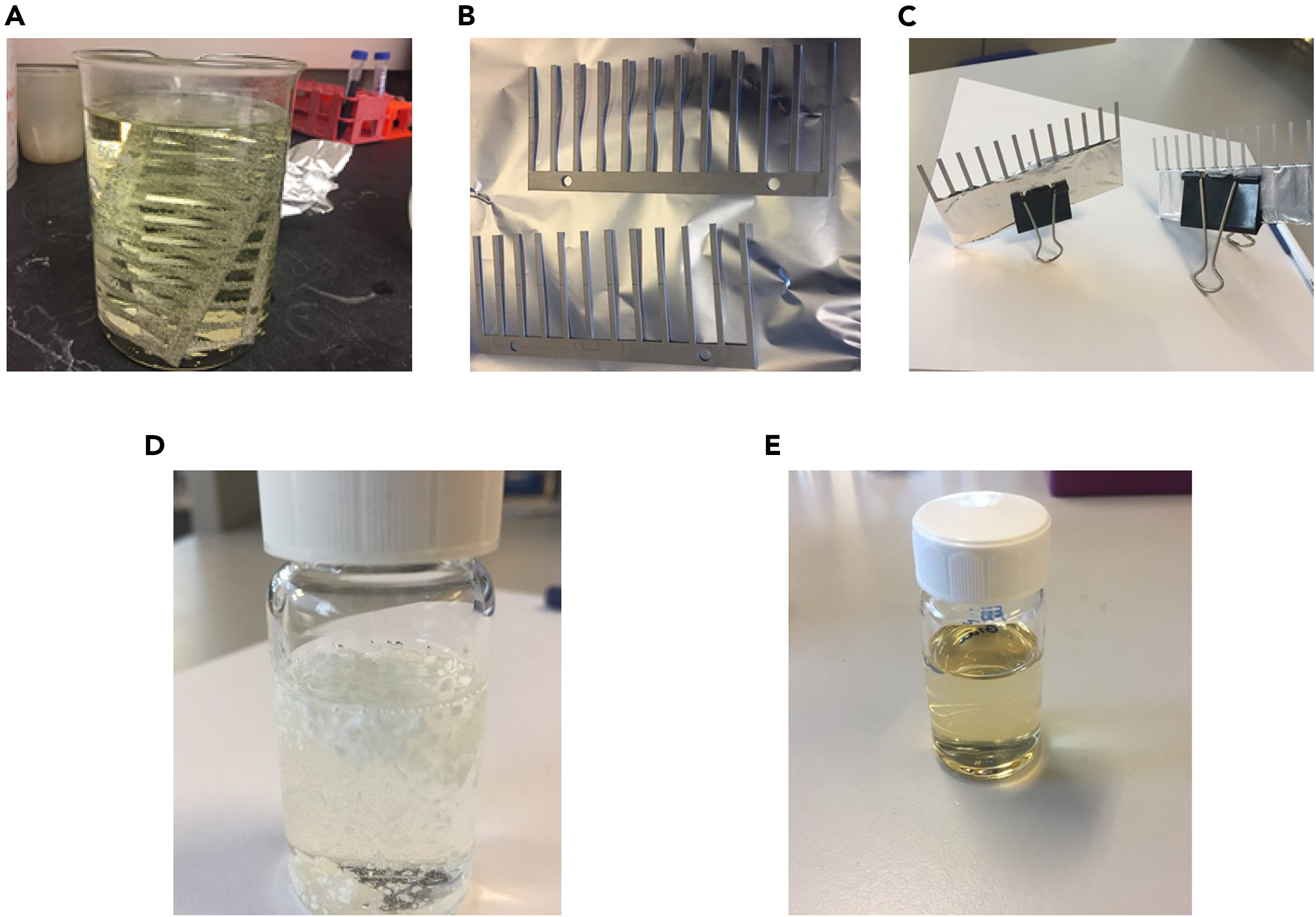 Cell Press: STAR Protocols