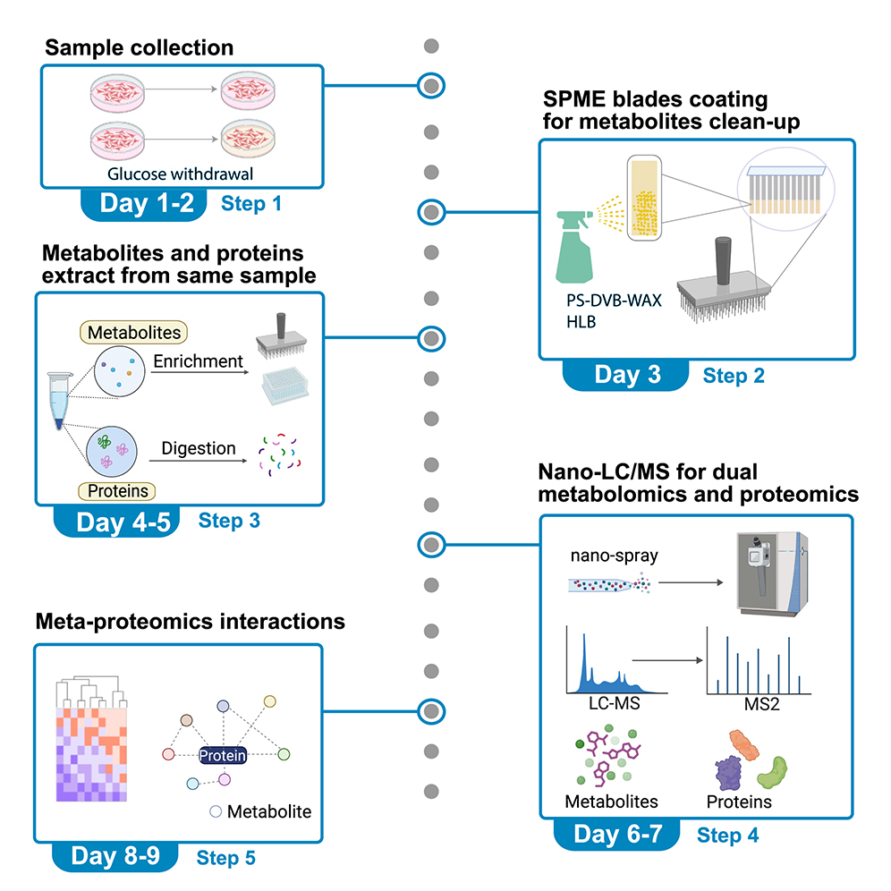 Liquid Chromatography Tandem Mass Spectrometry