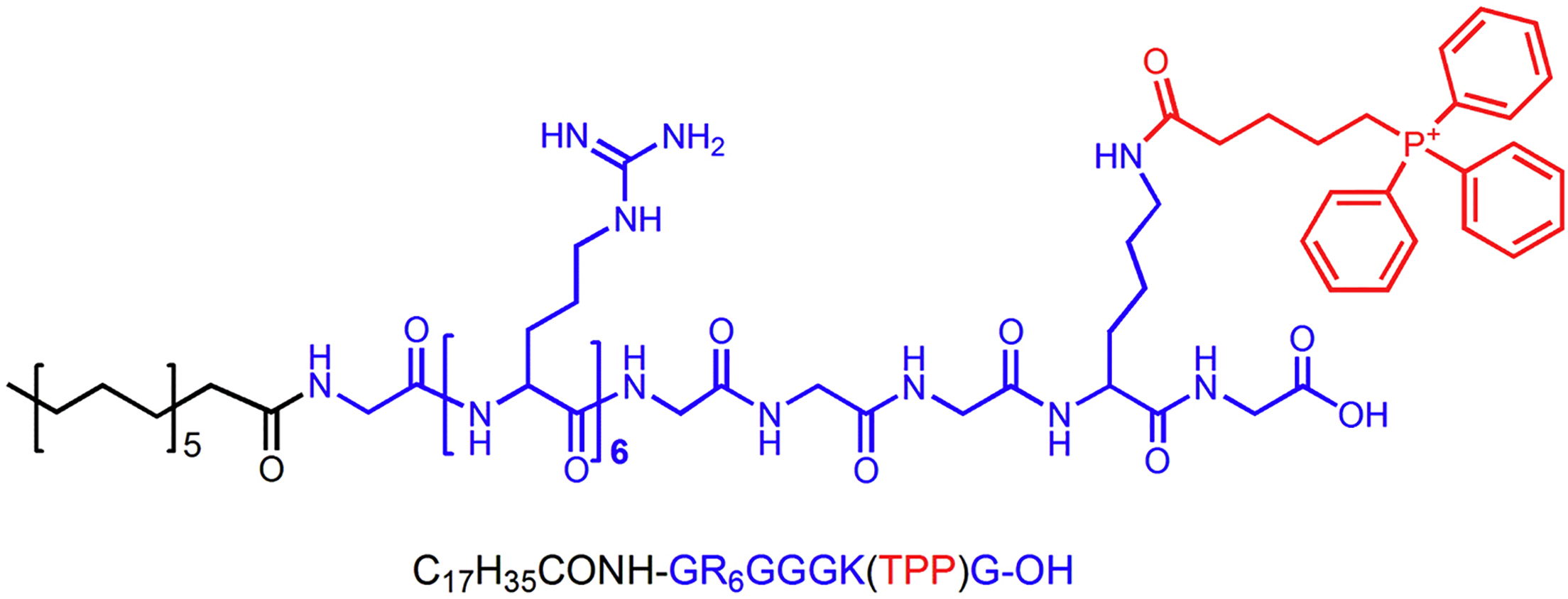 Cell Press: STAR Protocols