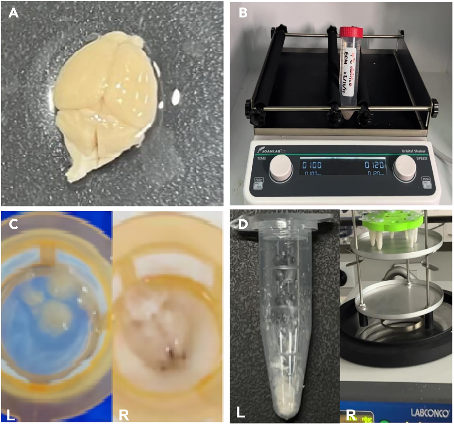 Cell Press: STAR Protocols