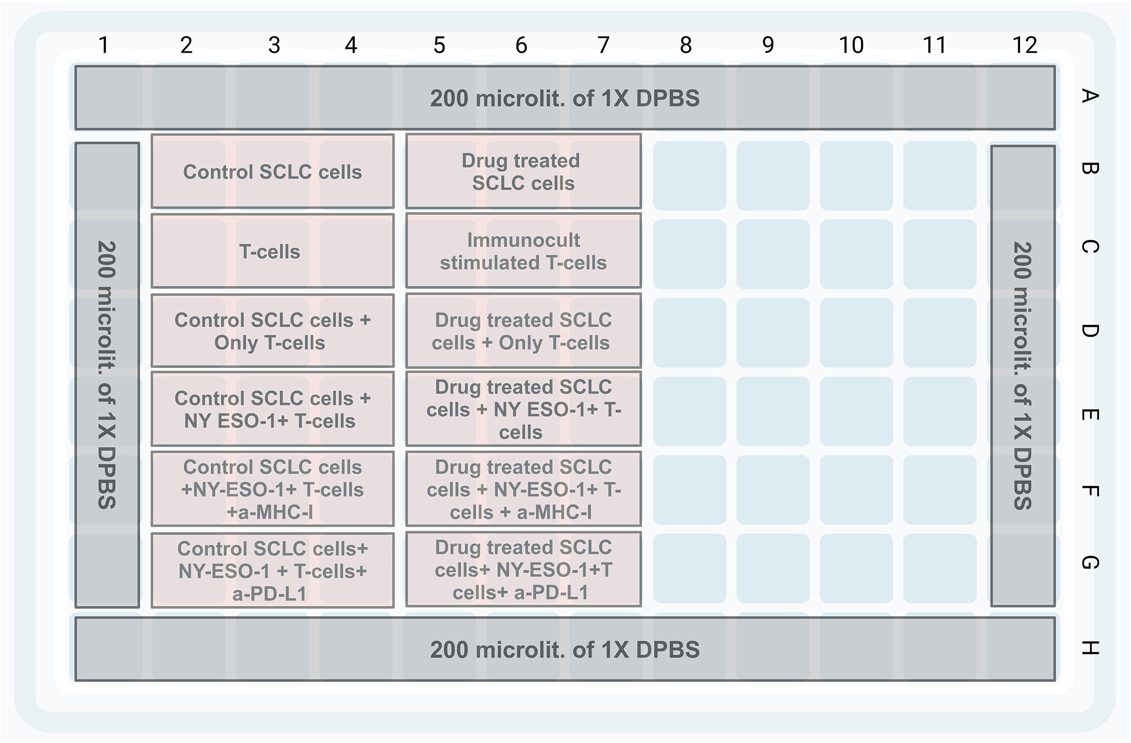 Cell Press: STAR Protocols