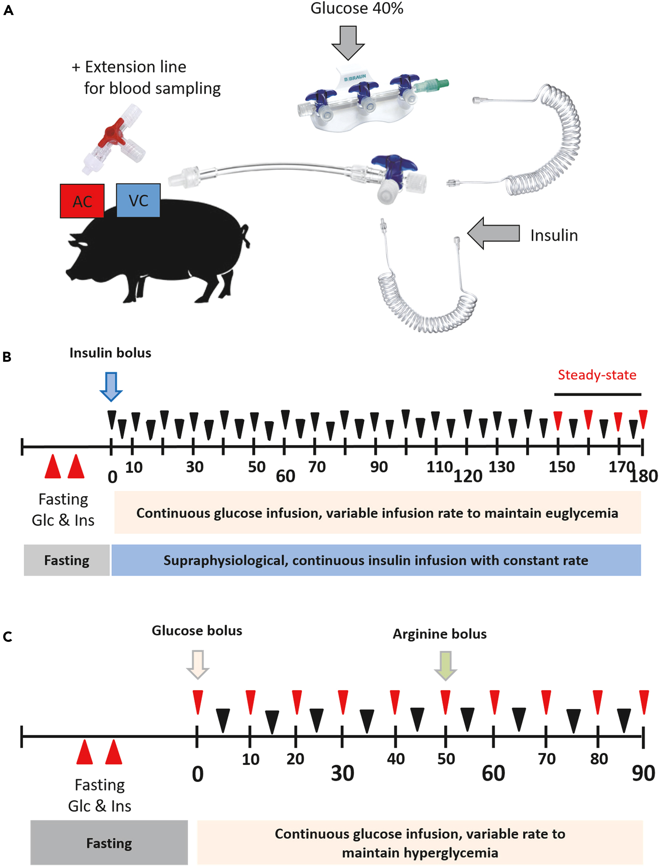 Cell Press: STAR Protocols