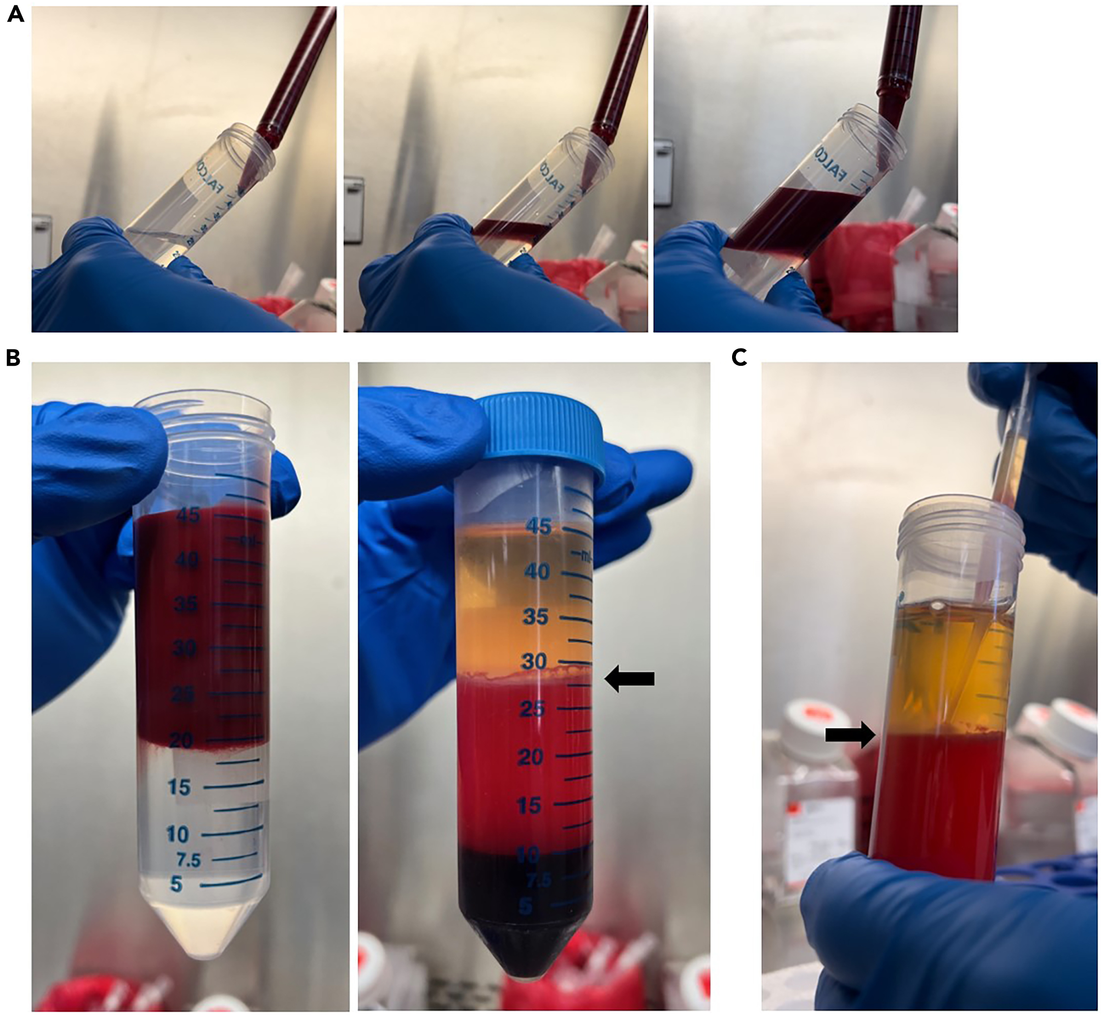 Cell Press: STAR Protocols