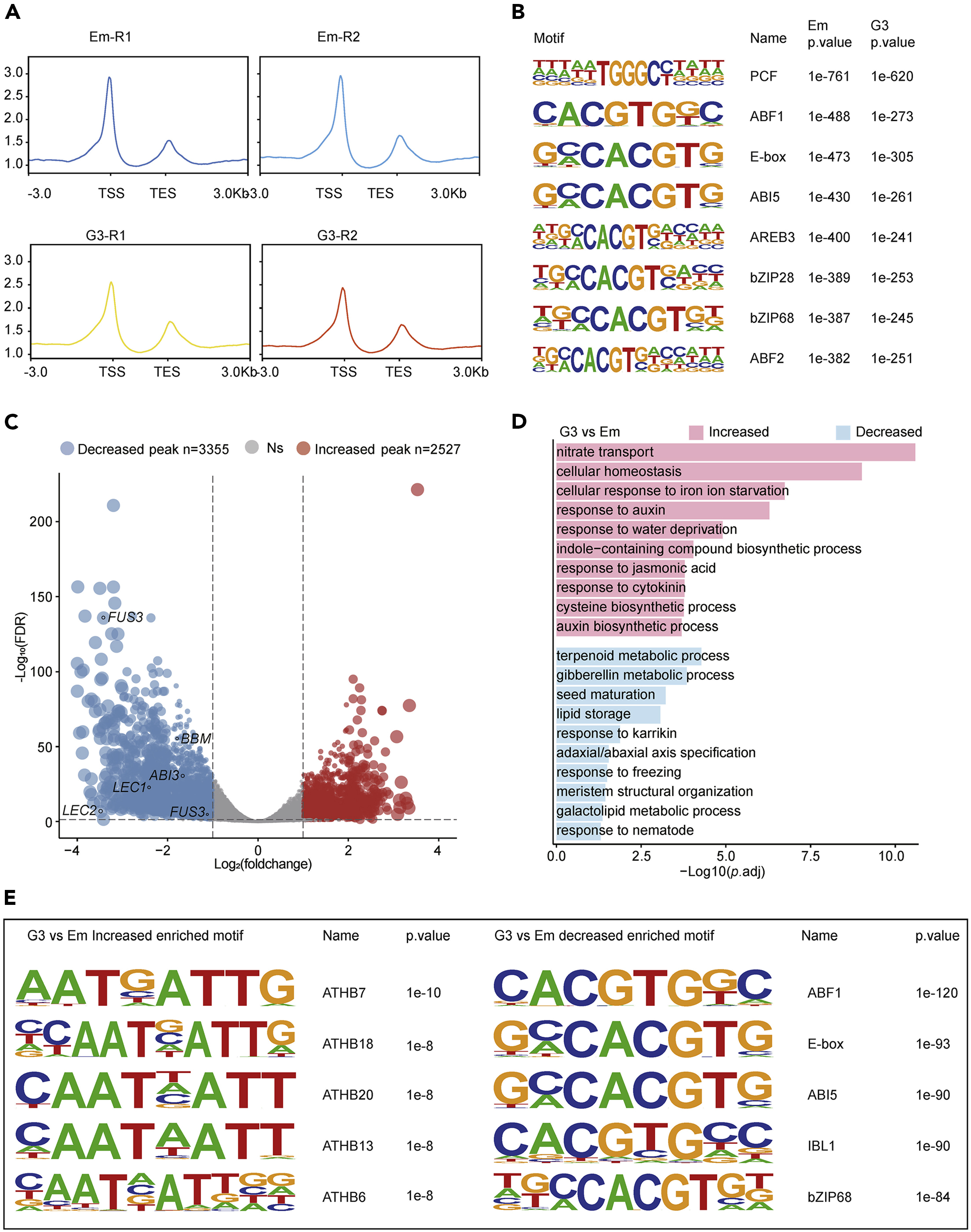 Cell Press: STAR Protocols