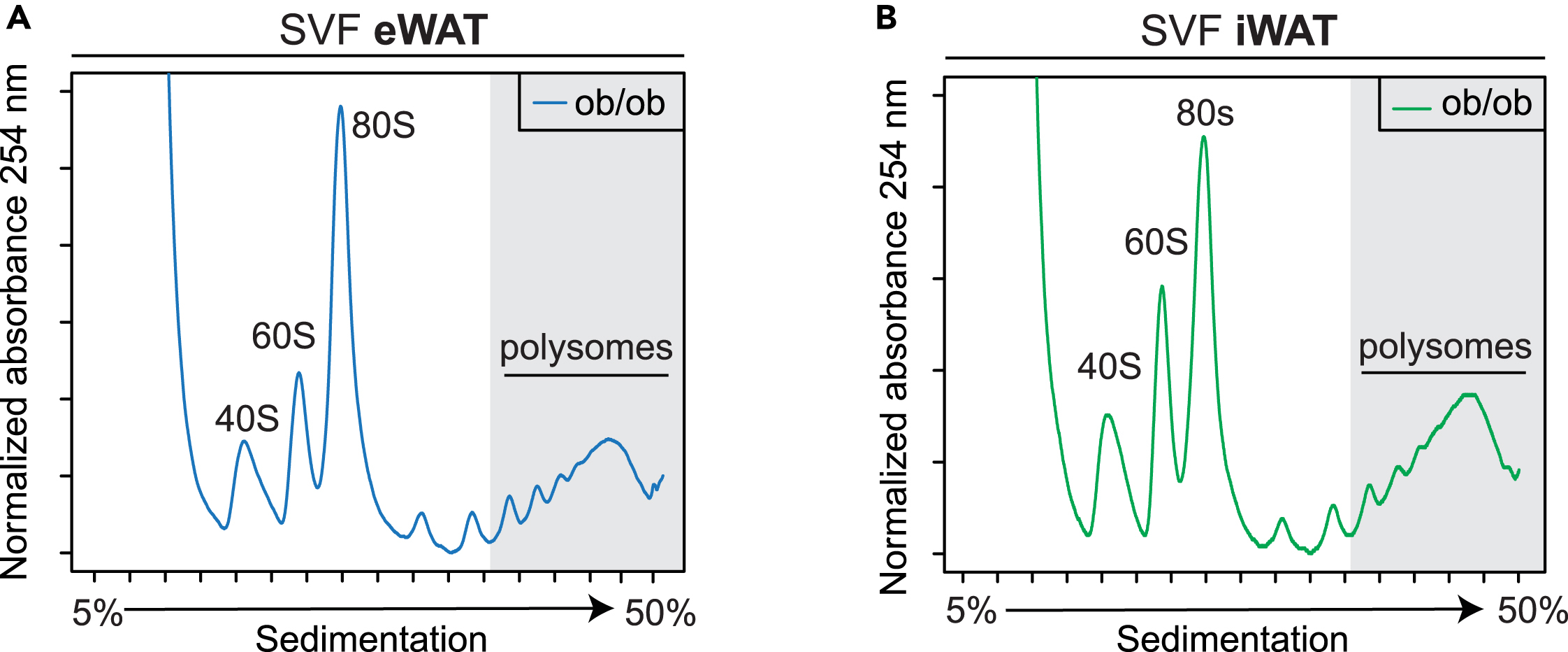 Cell Press: STAR Protocols
