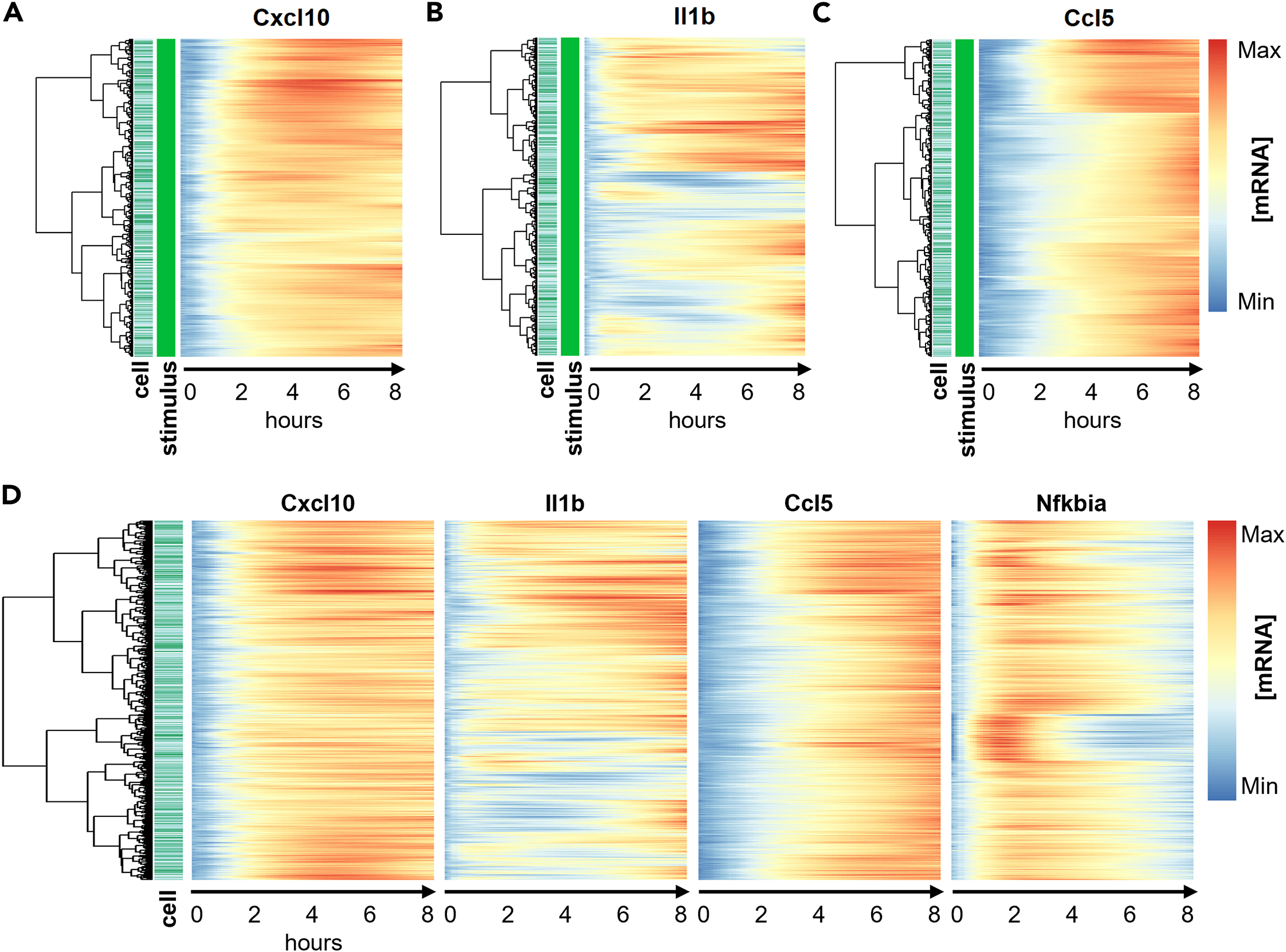 Cell Press: STAR Protocols