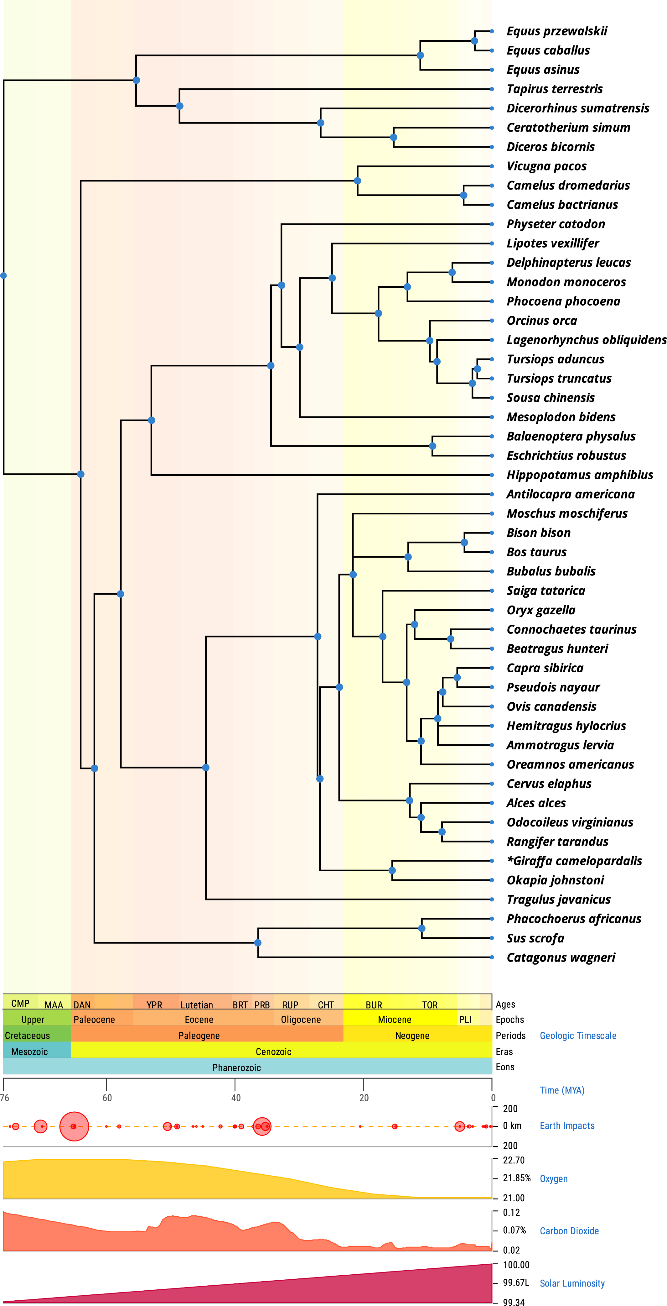 Cell Press: STAR Protocols