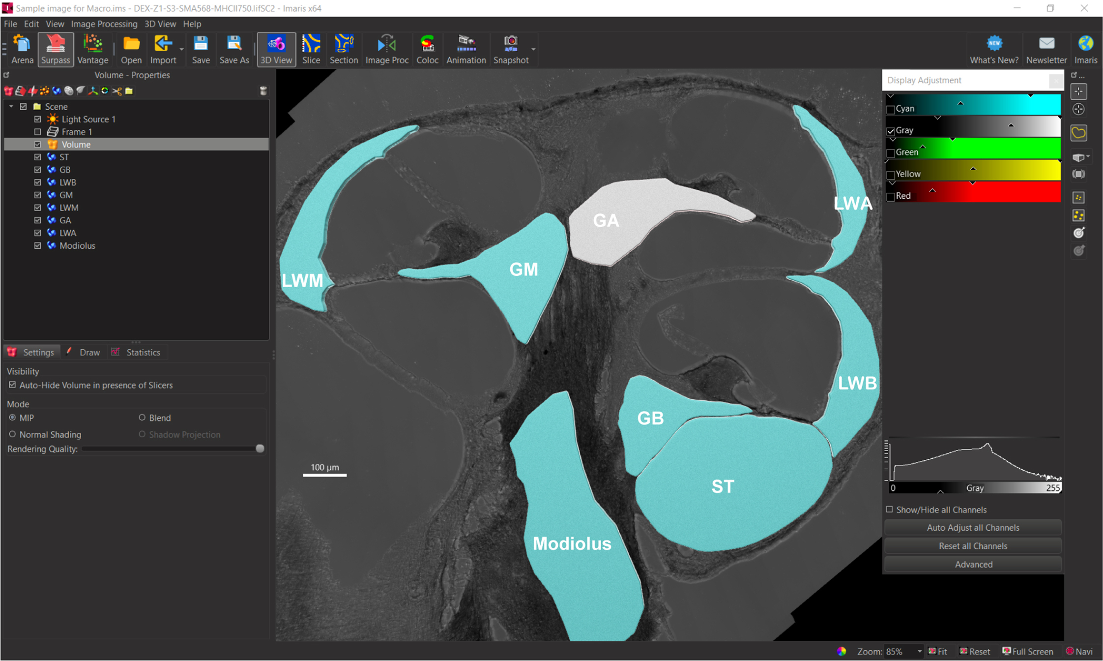 Cell Press: STAR Protocols