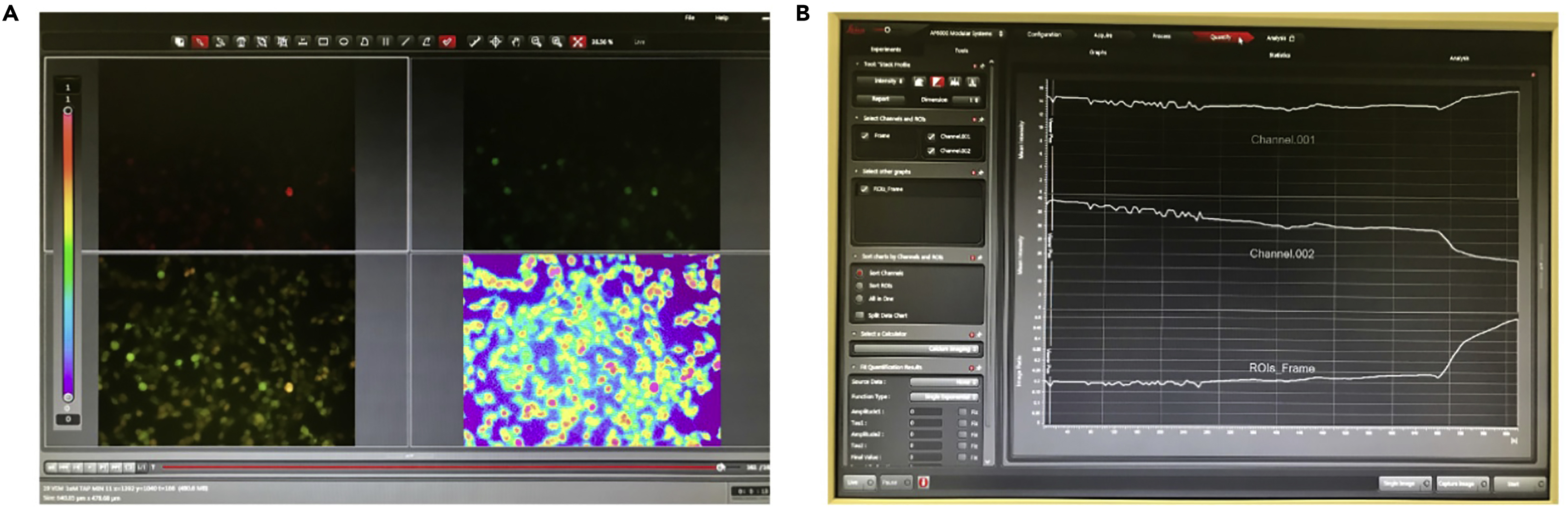 Cell Press: STAR Protocols