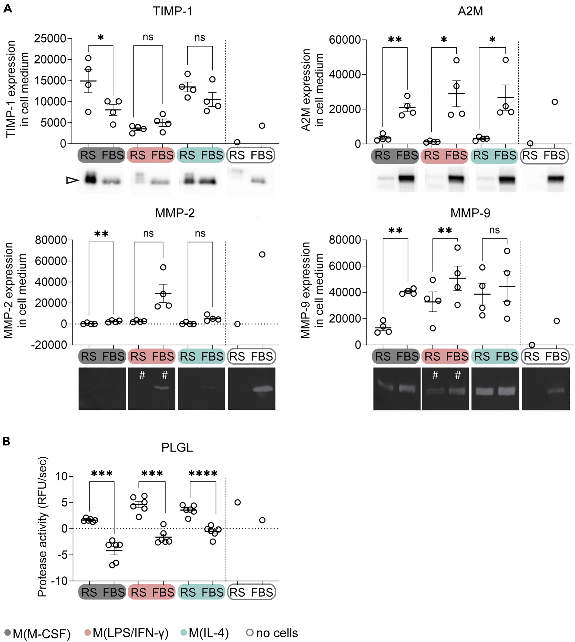 Cell Press: STAR Protocols
