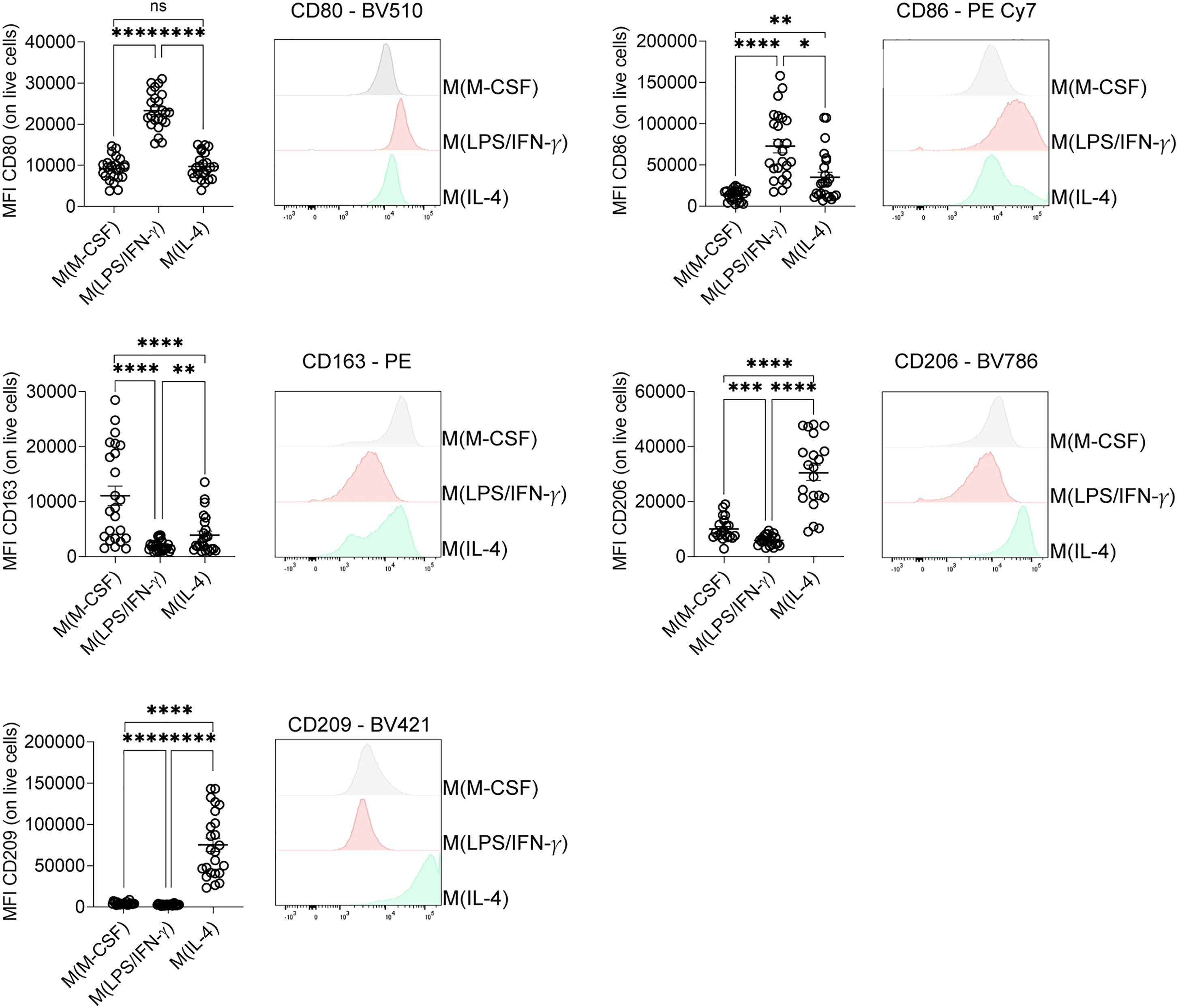 Cell Press: STAR Protocols