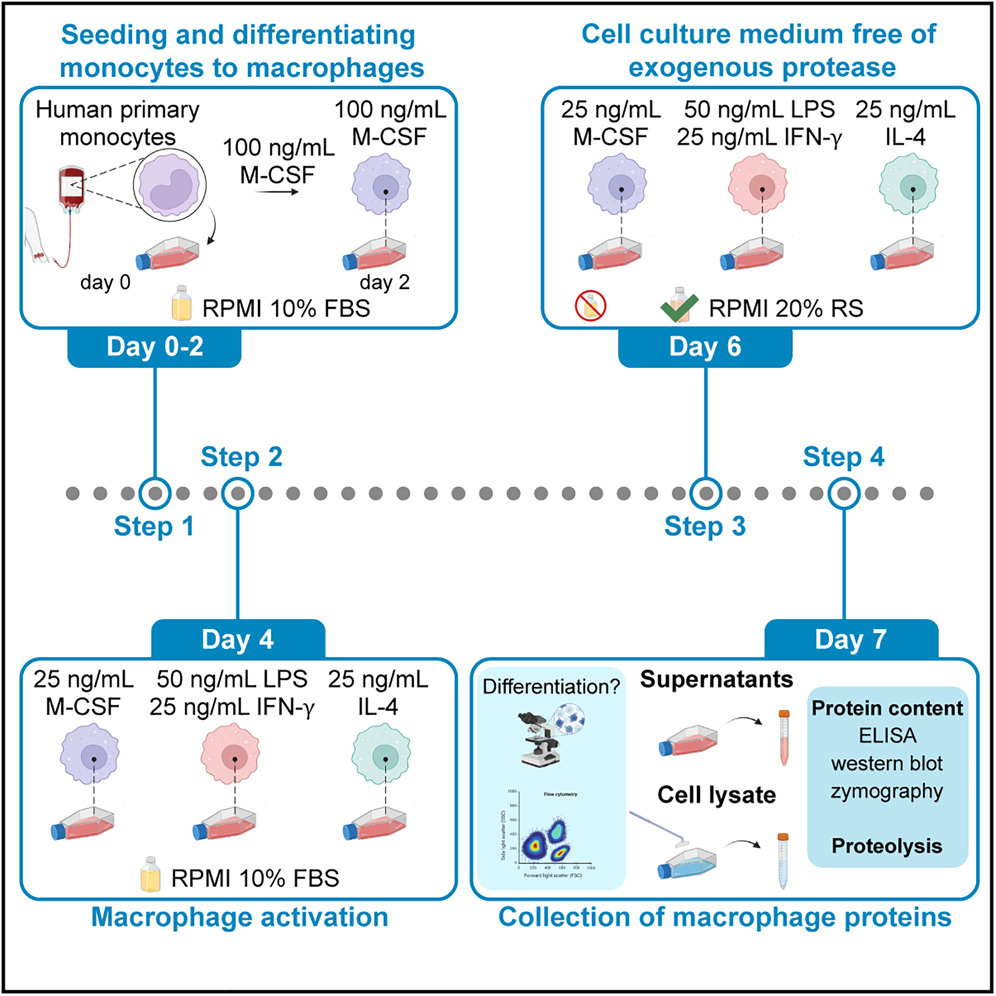 Cell Press: STAR Protocols
