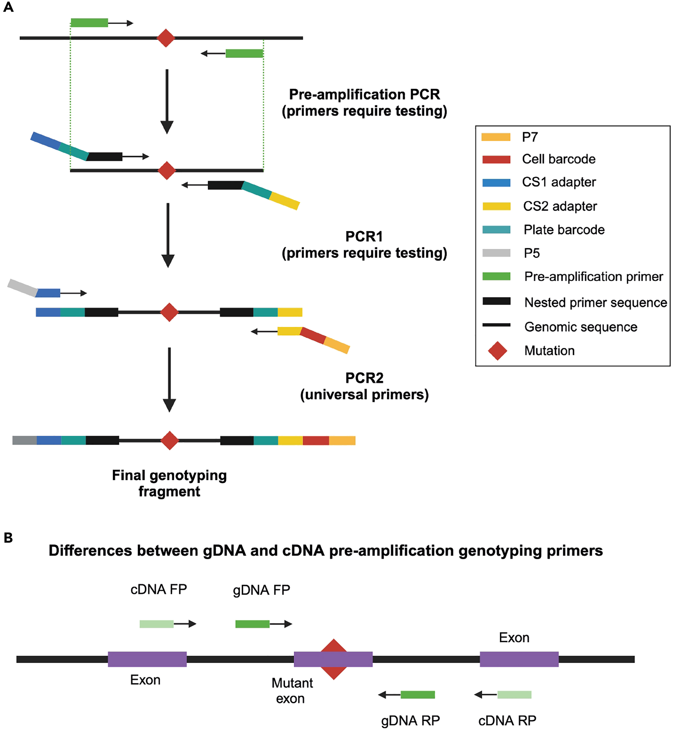 Cell Press: STAR Protocols