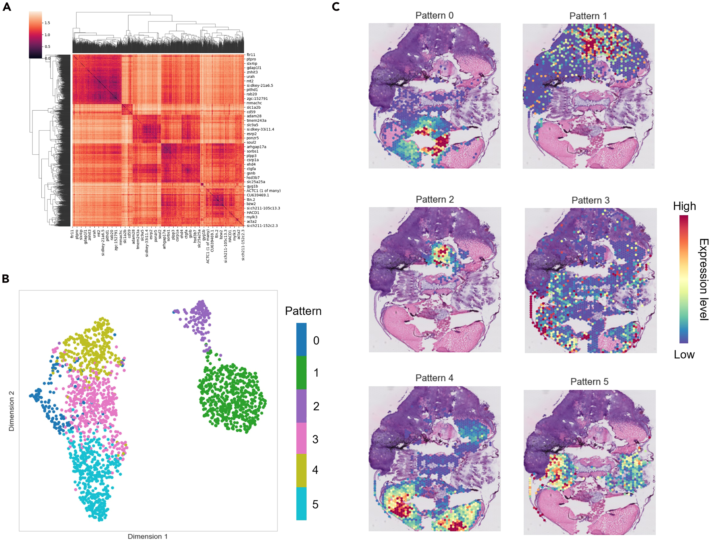 Cell Press: STAR Protocols