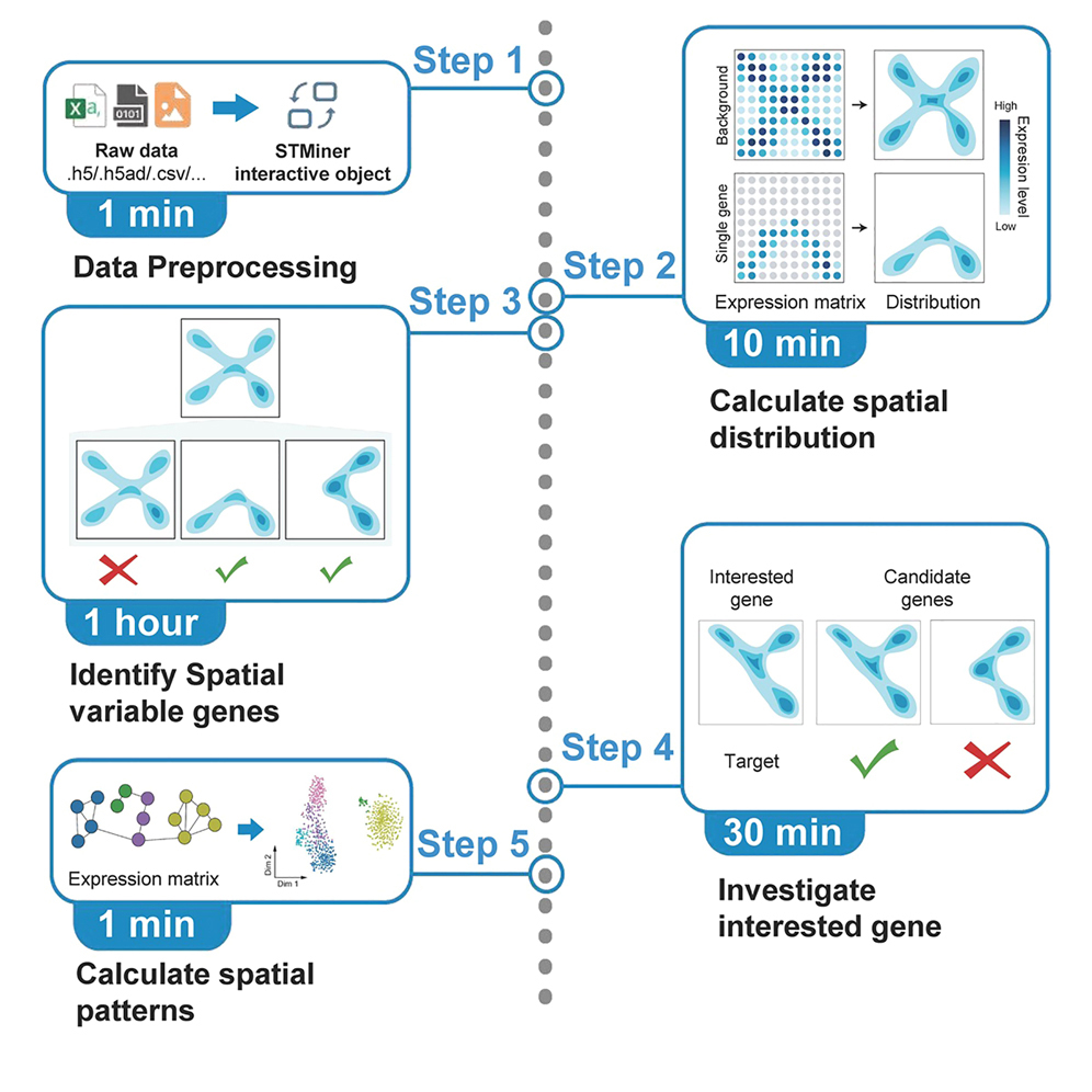 Cell Press: STAR Protocols