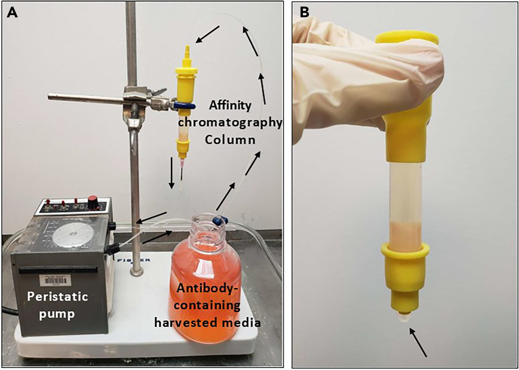 Cell Press: STAR Protocols