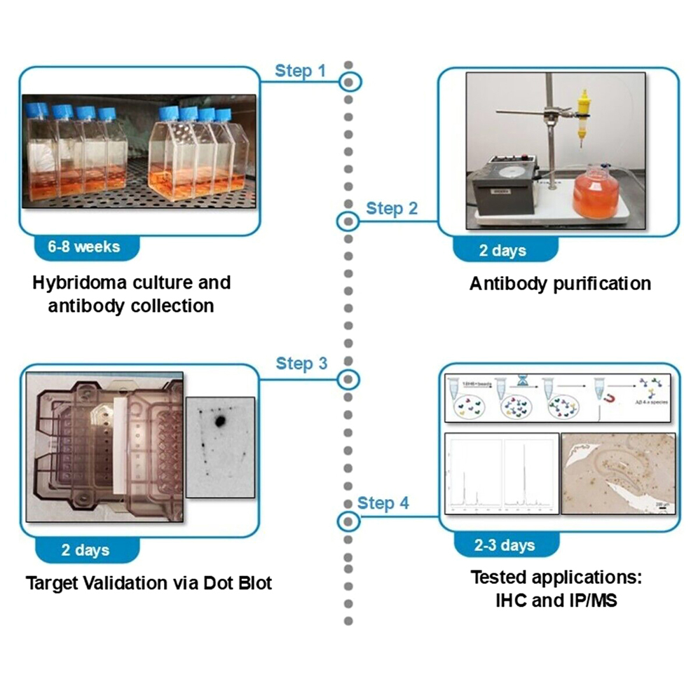 Cell Press: STAR Protocols
