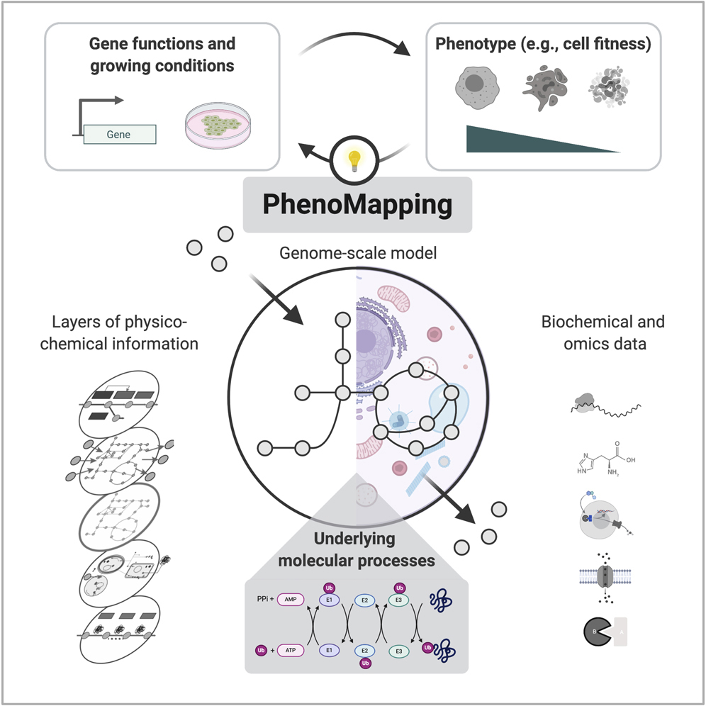 Cell Press: STAR Protocols