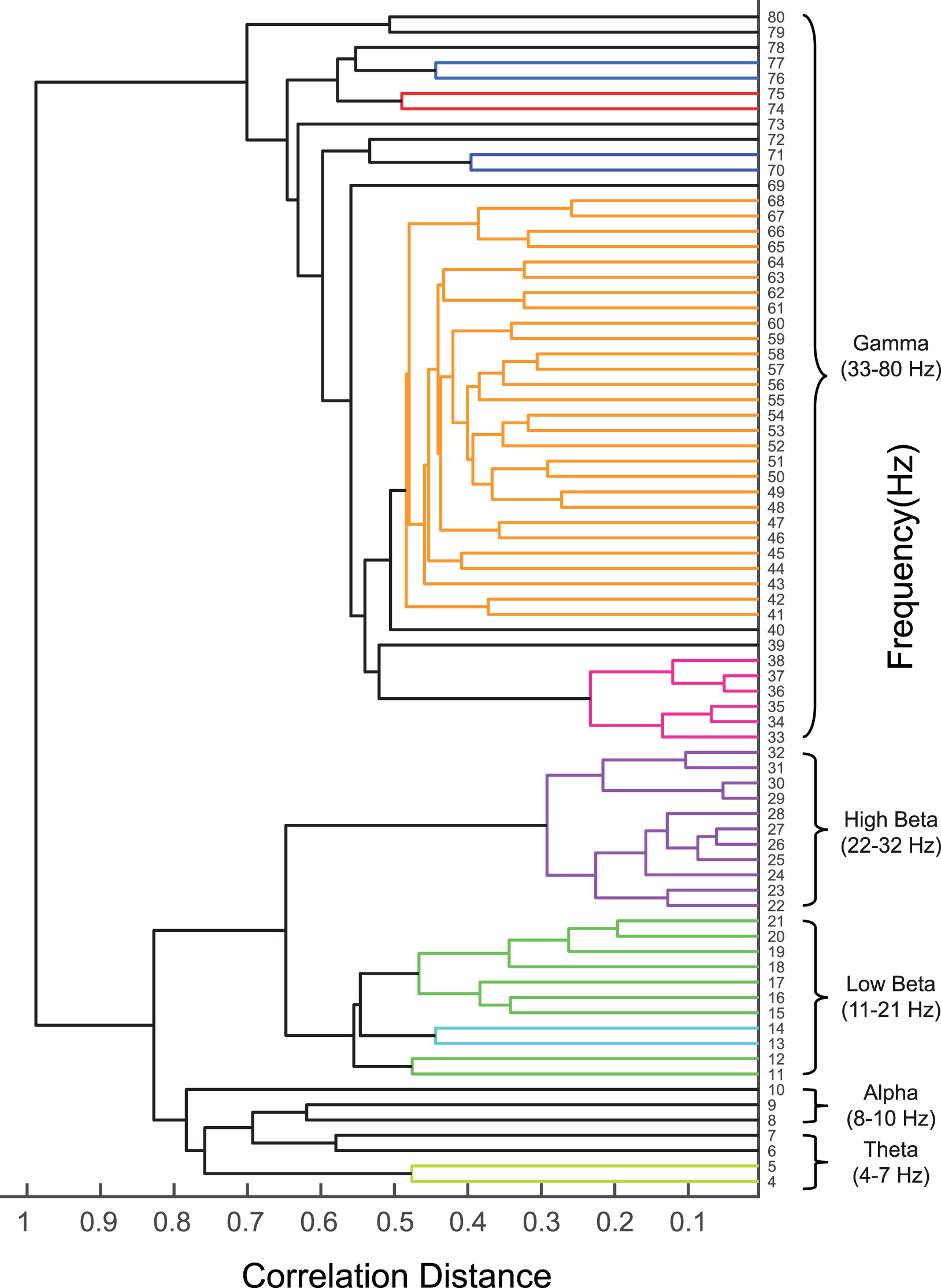 Cell Press: STAR Protocols