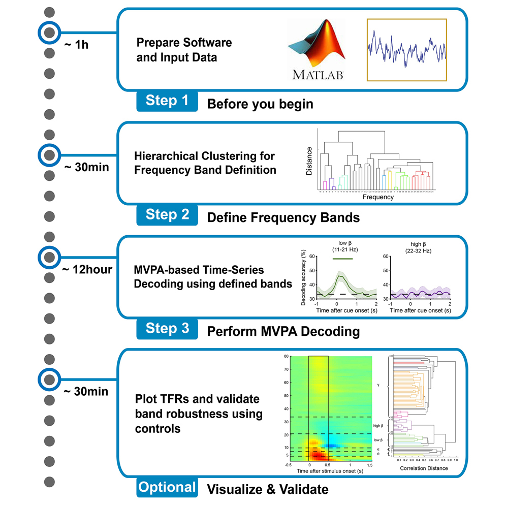Cell Press: STAR Protocols