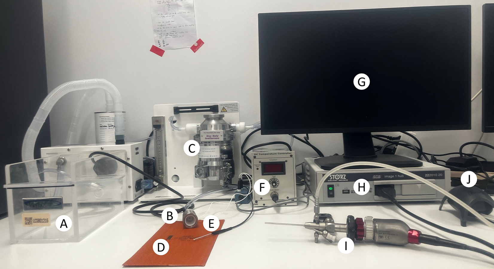 Cell Press: STAR Protocols