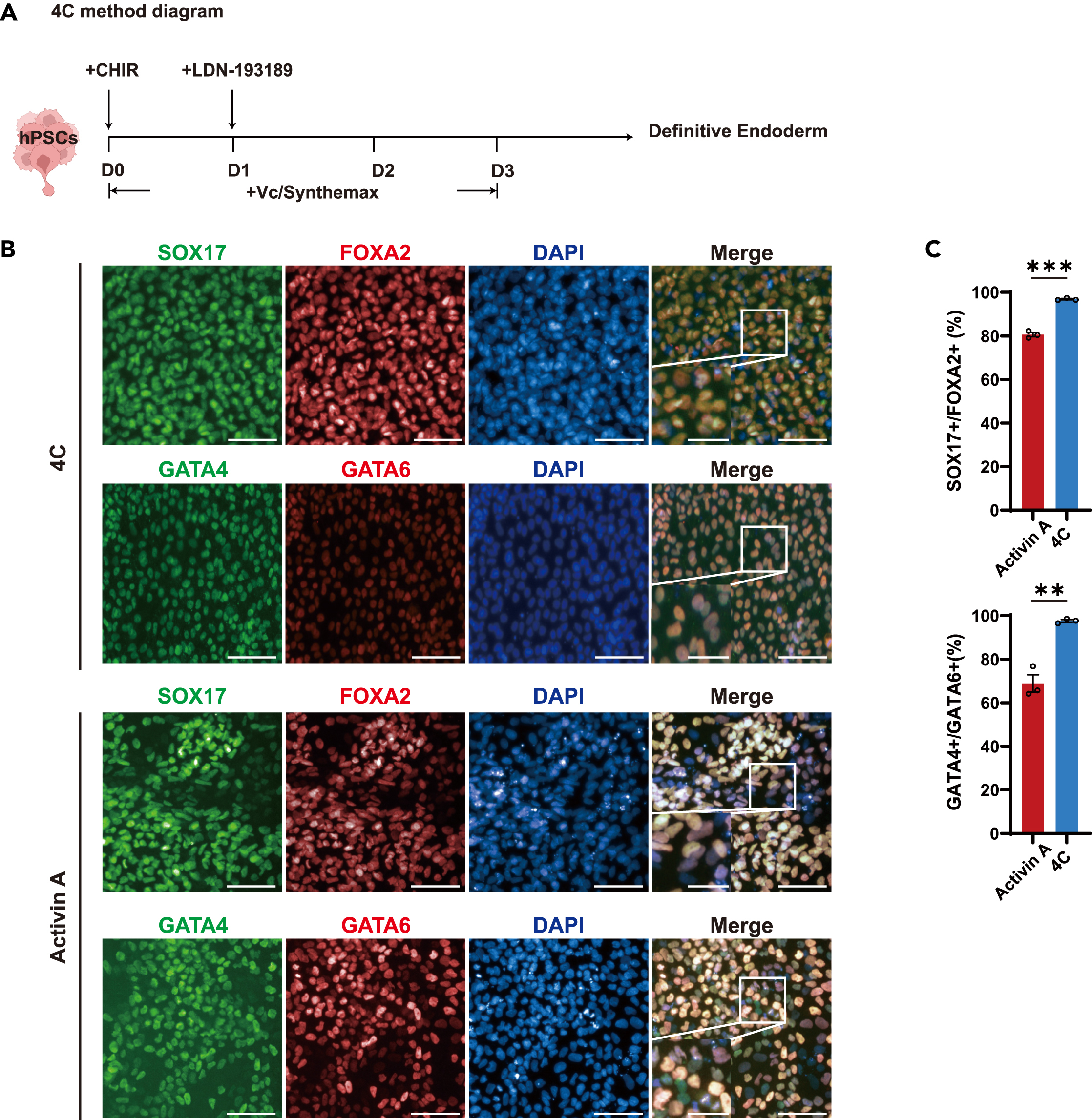 Cell Press: STAR Protocols