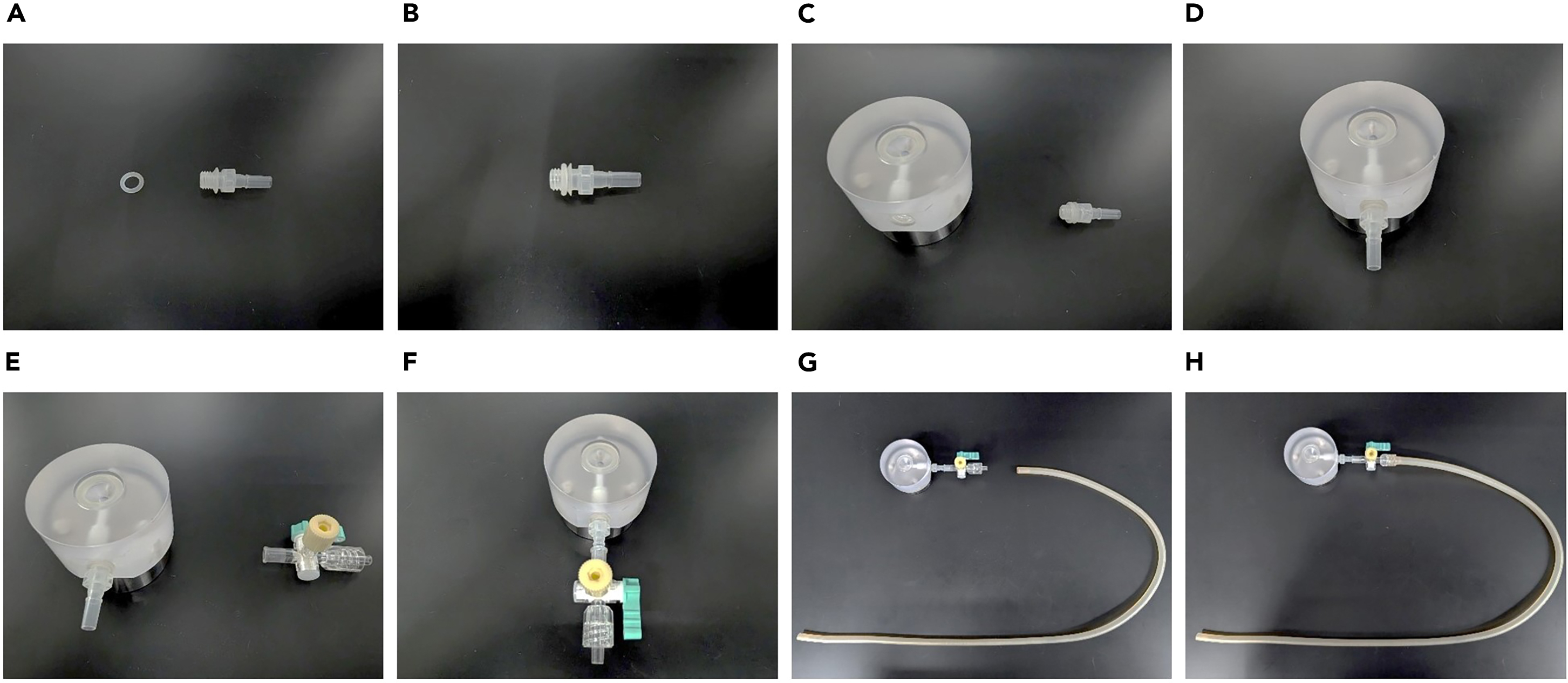 Cell Press: STAR Protocols