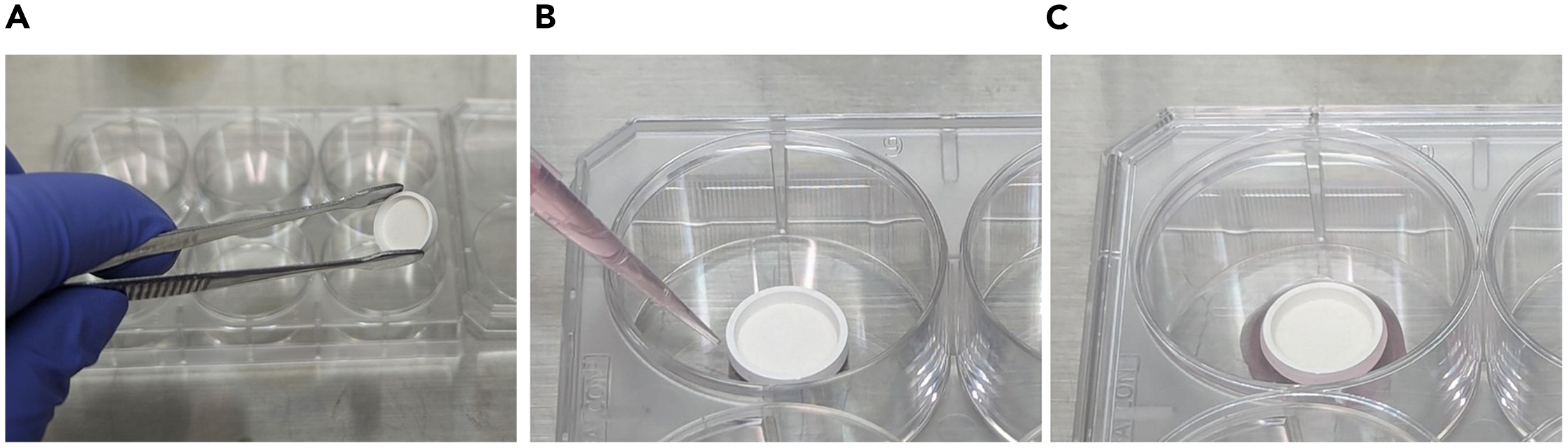 Cell Press: STAR Protocols